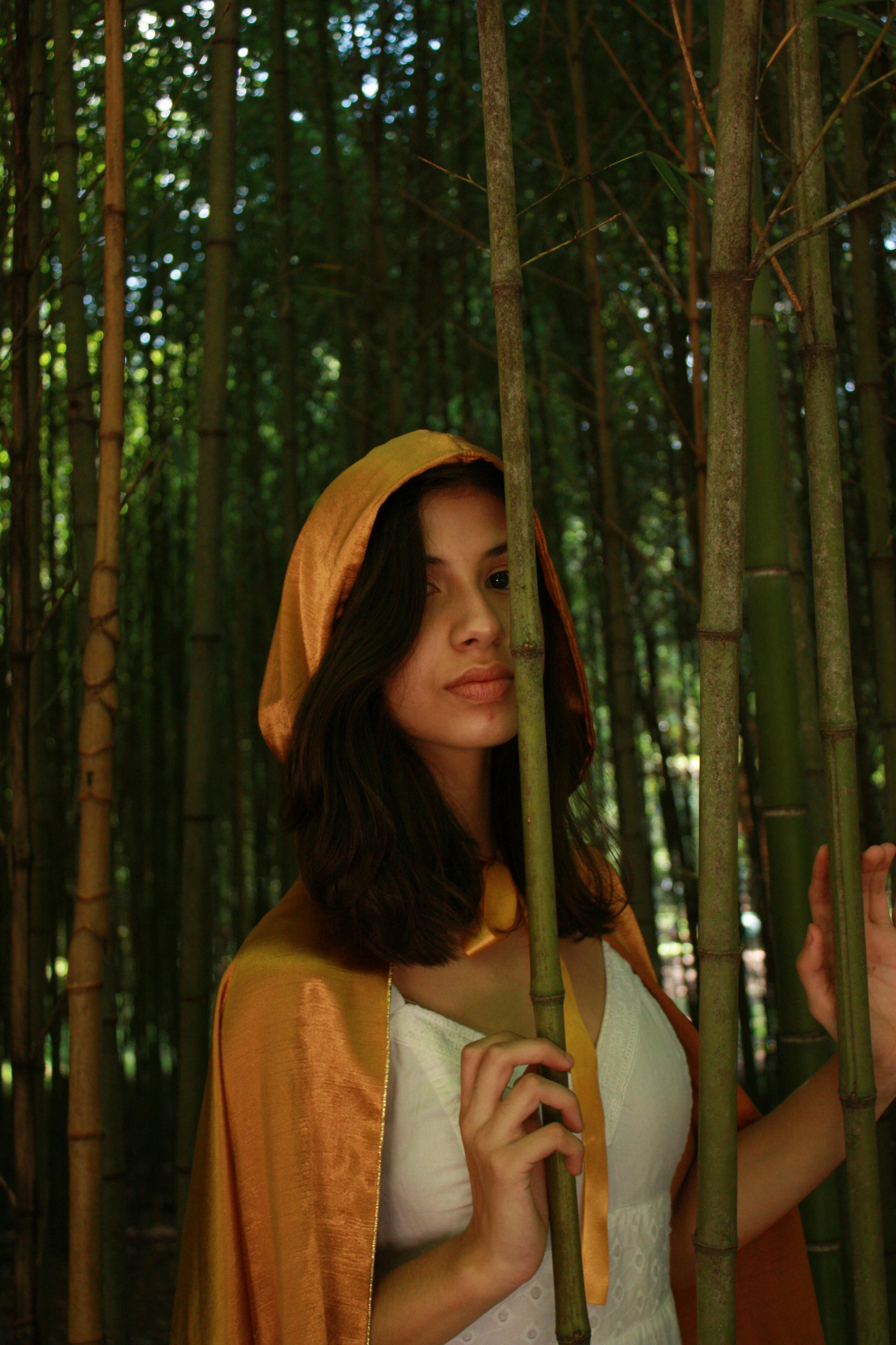 Woman Standing Beside Trees · Free Stock Photo