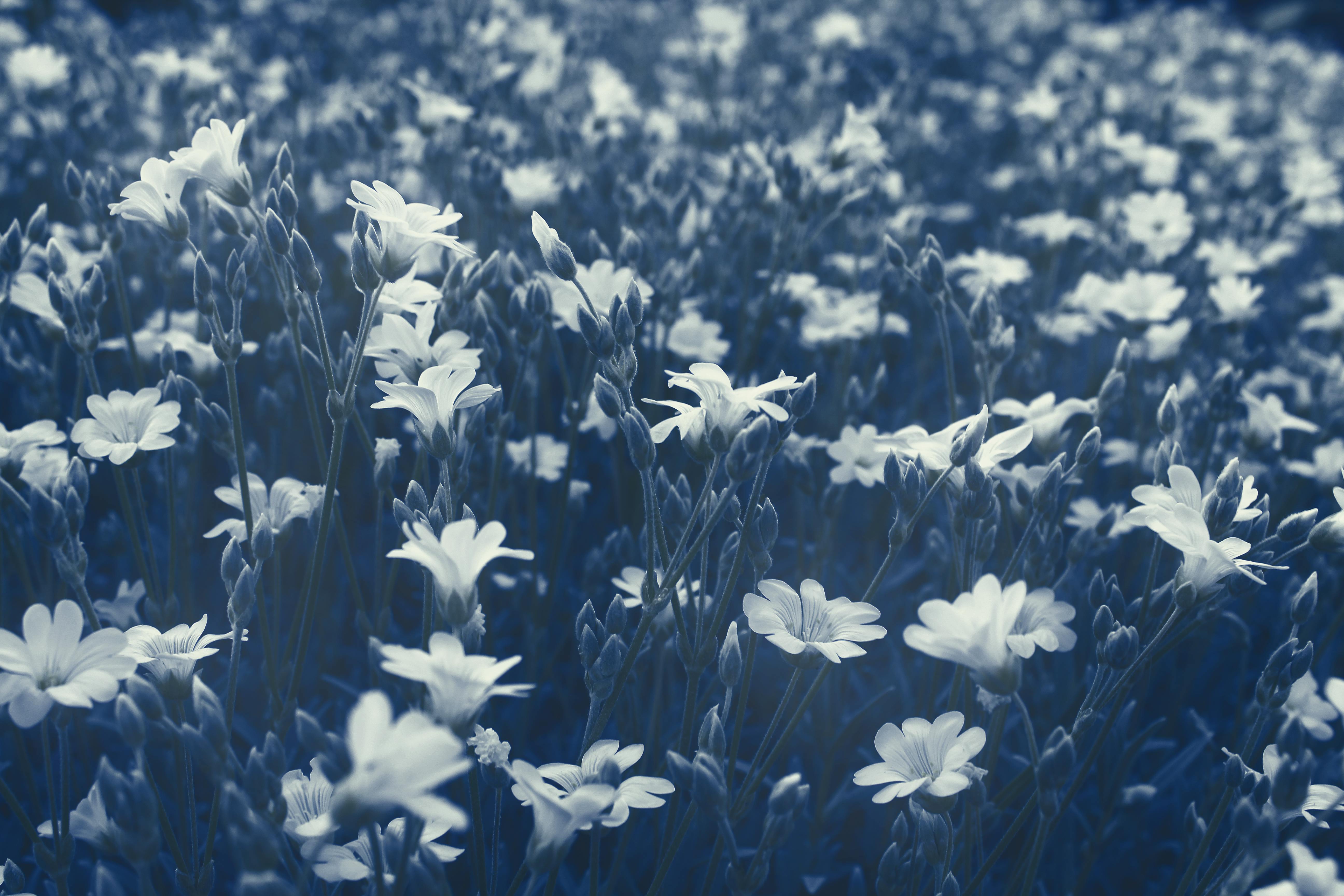 David Lock – Fotografie