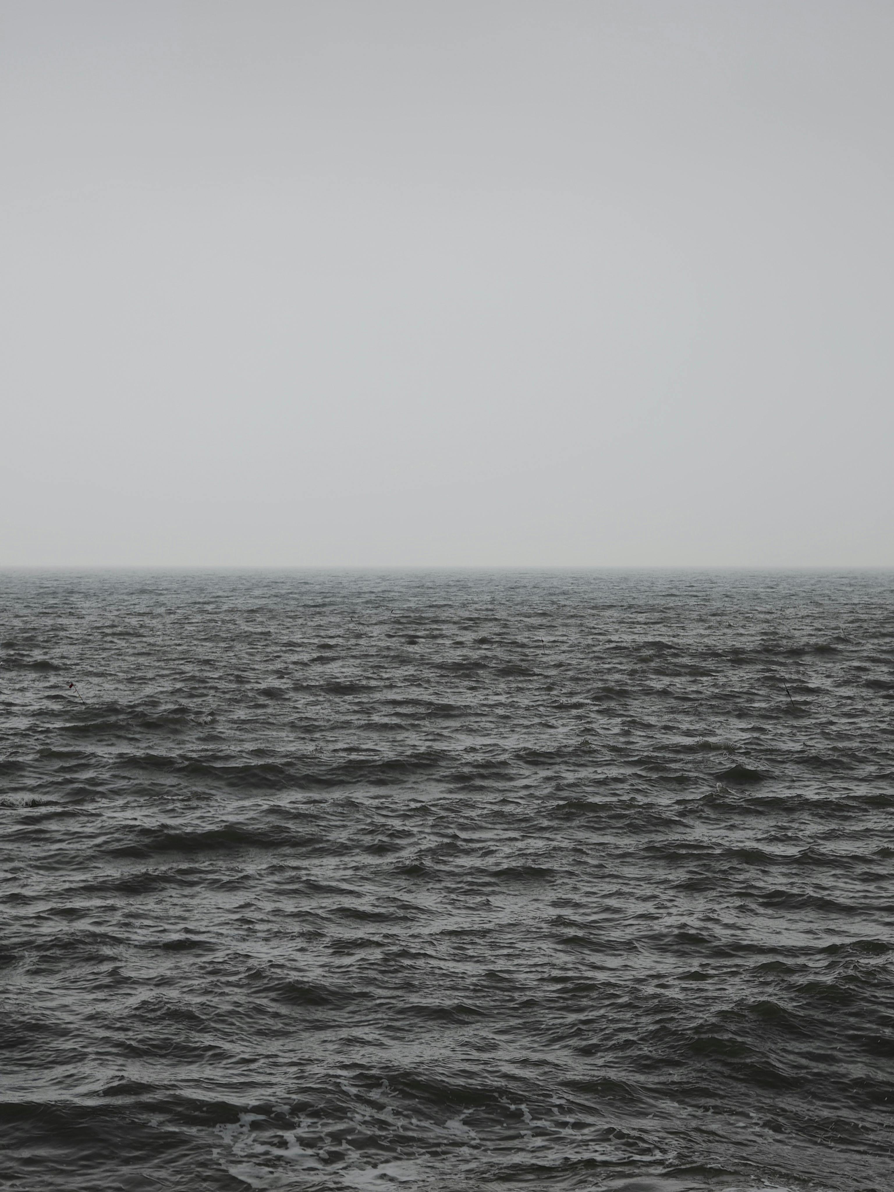 Wavy Sea in Black and White · Free Stock Photo