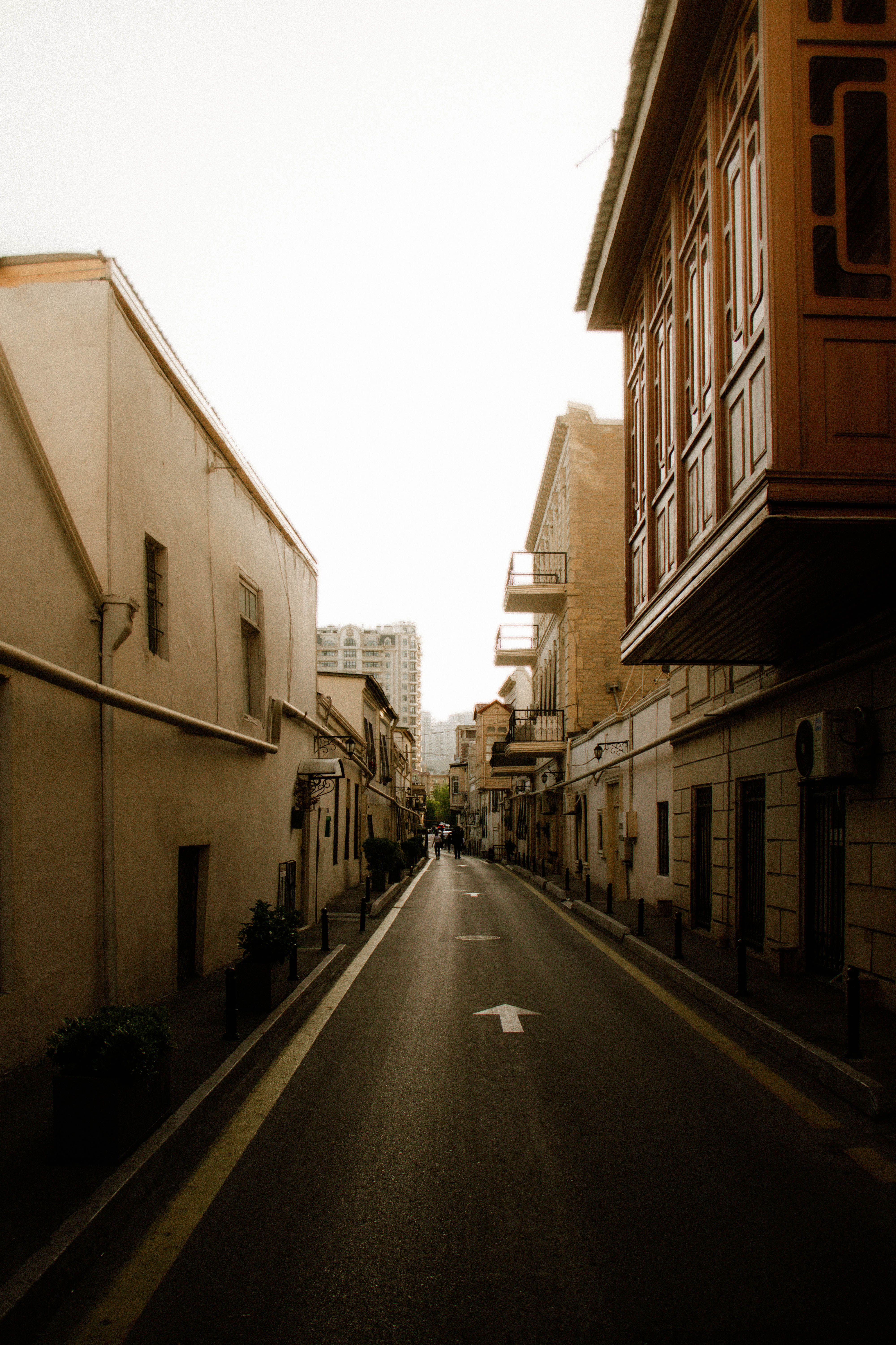 Houses along an Asphalt Alley · Free Stock Photo