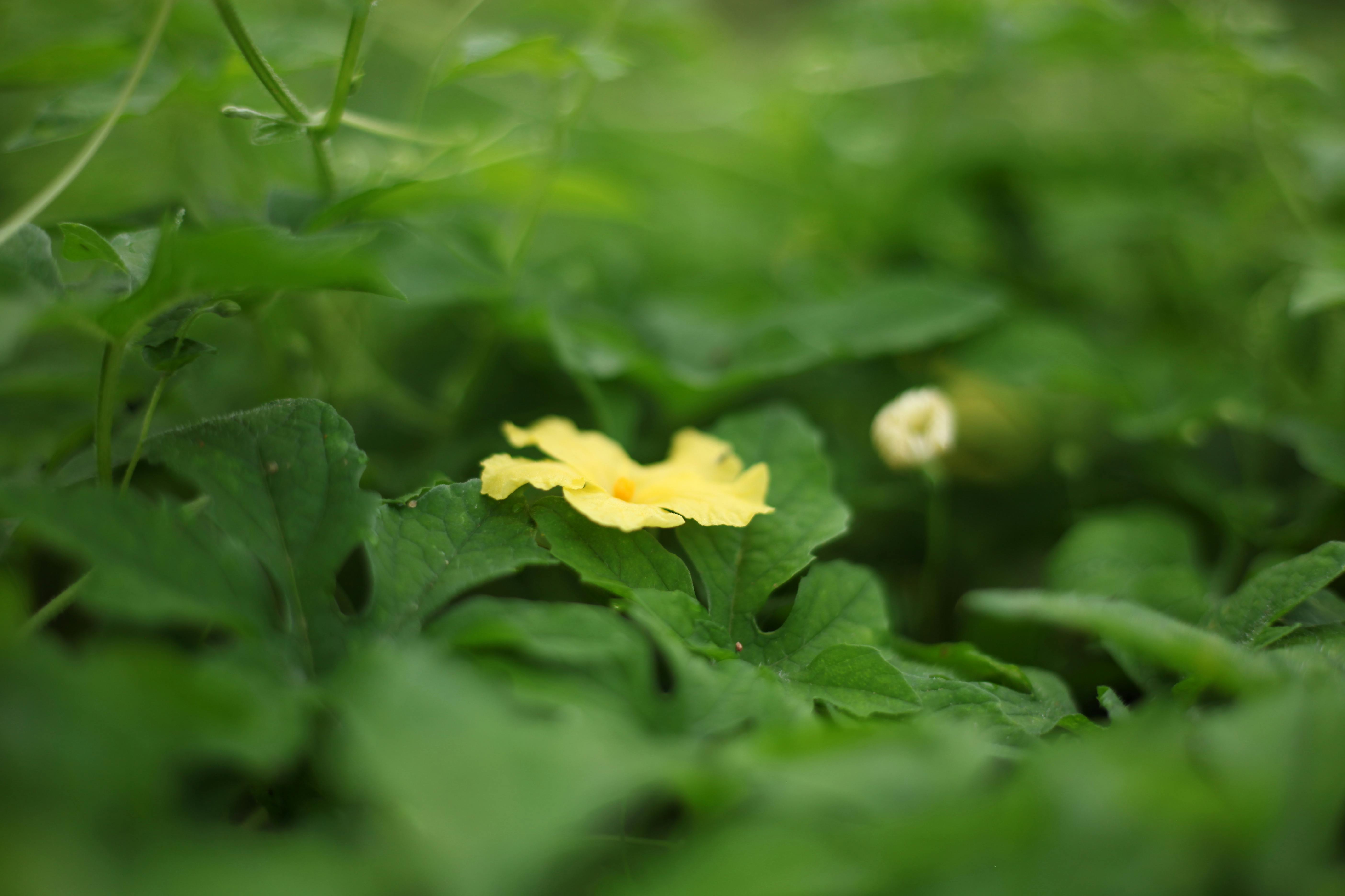 Gezza Graphix Tz - Photography