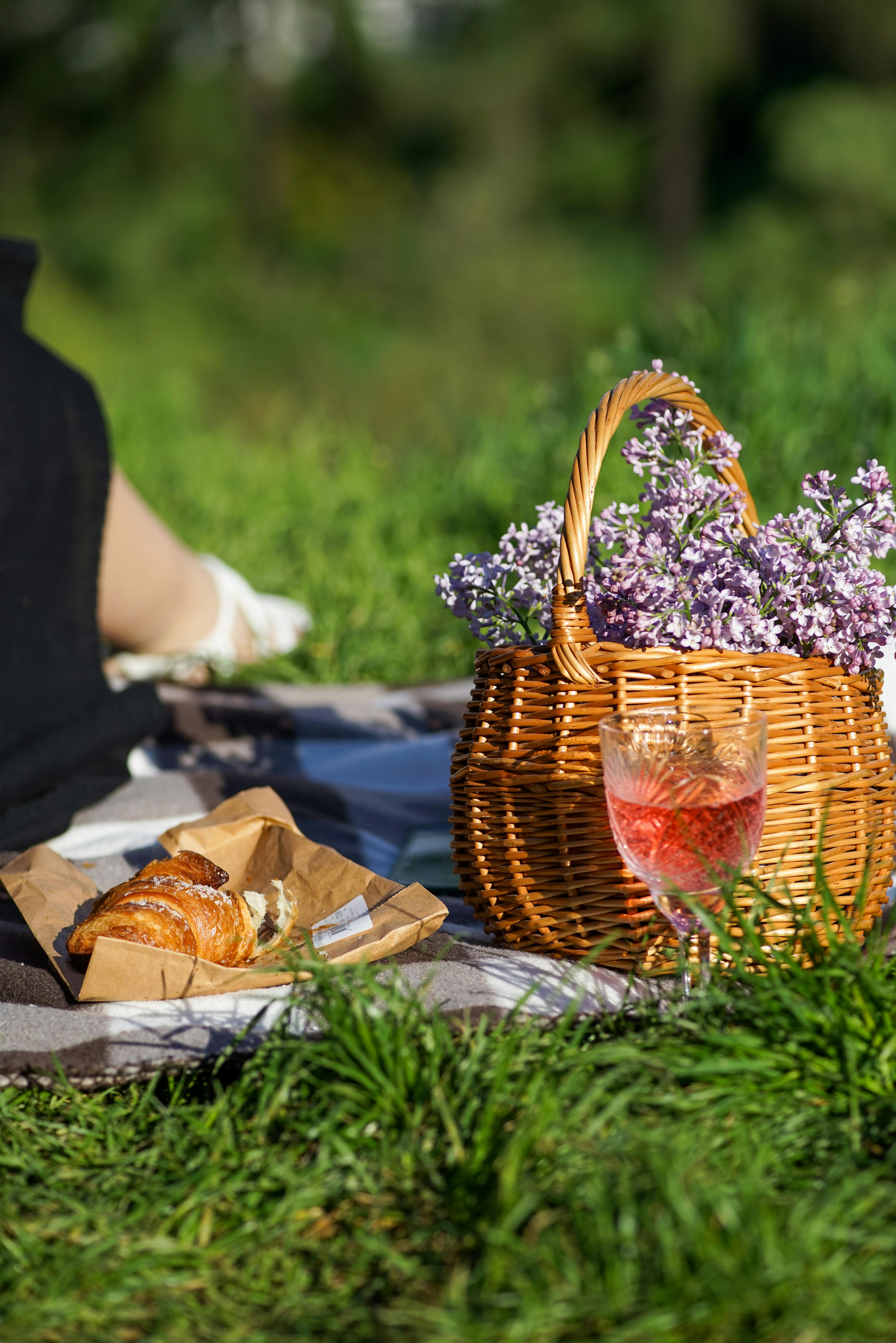 Elegant Picnic in a Sunlit Park Setting · Free Stock Photo