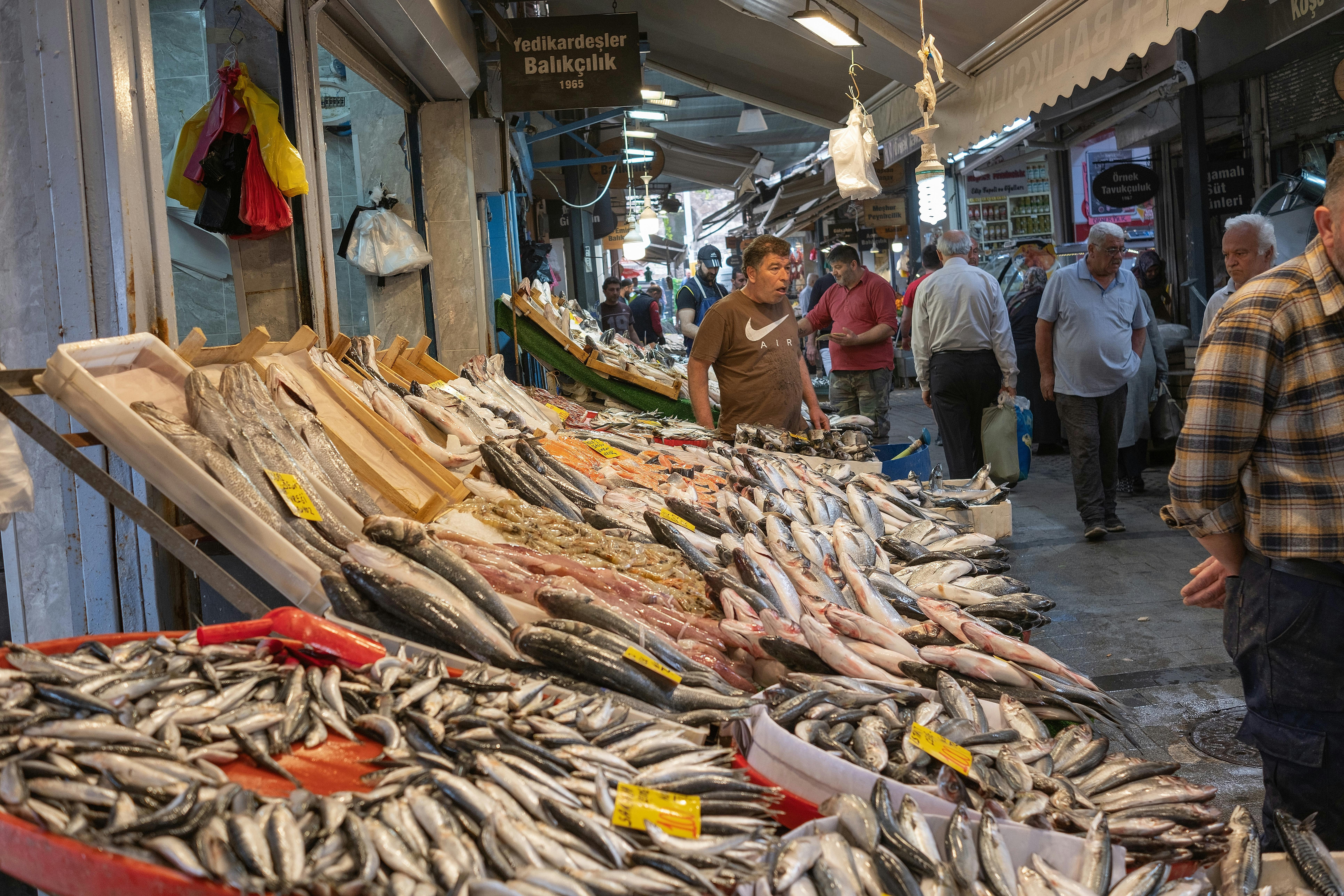 Fishmonger at Bazaar in Turkey · Free Stock Photo