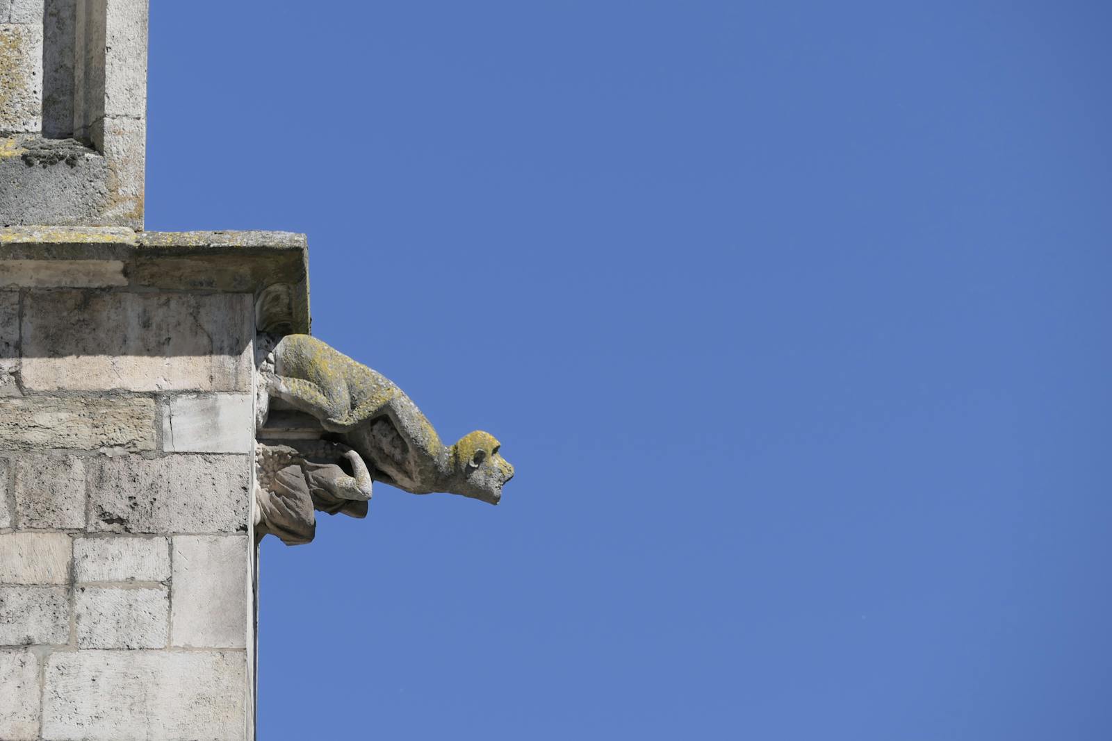 Gargoyle Photos, Download The BEST Free Gargoyle Stock Photos & HD Images