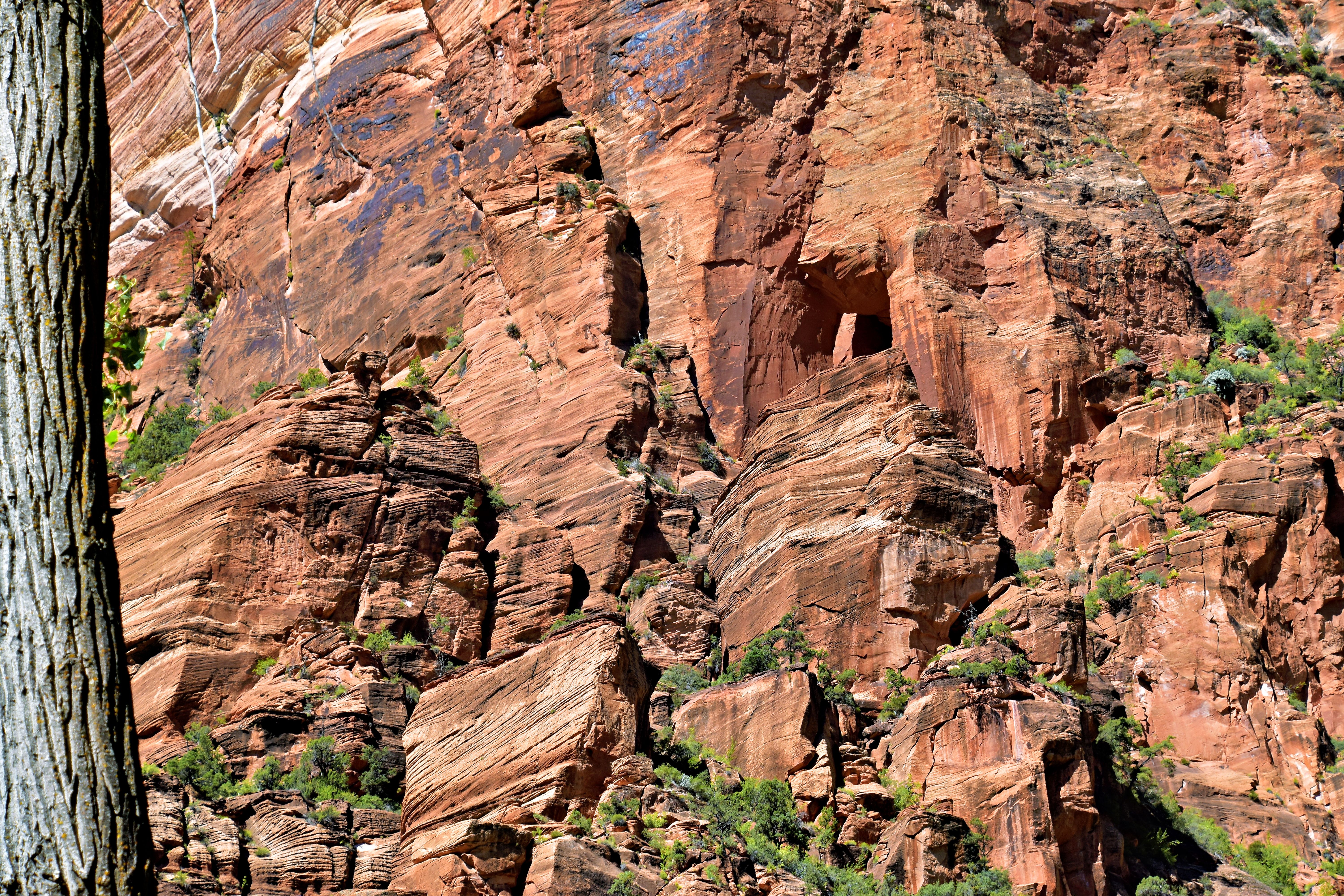 Rock Formations in Zion National Park in Utah, USA · Free Stock Photo