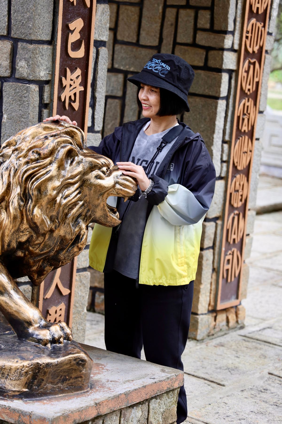 Scarface Lion Photos, Download The BEST Free Scarface Lion Stock Photos ...