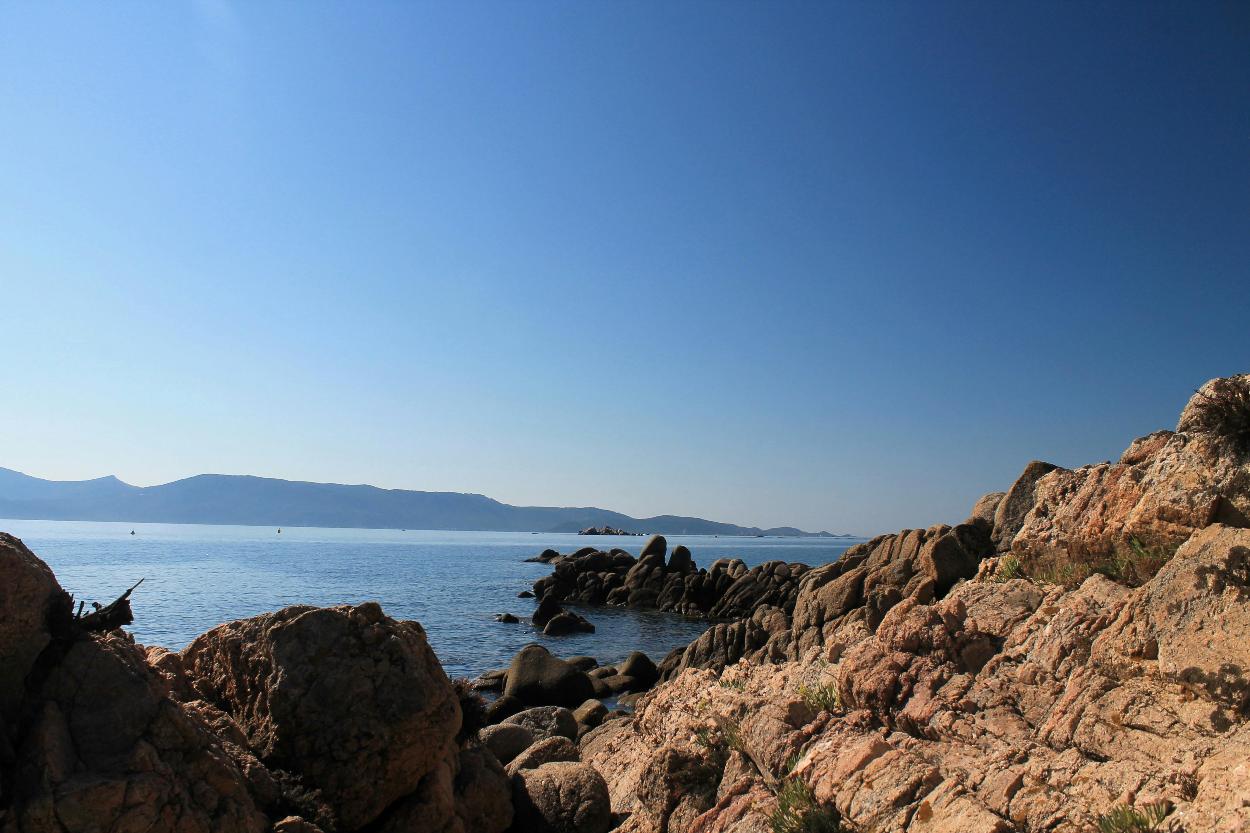 Rocky Ocean Coast · Free Stock Photo