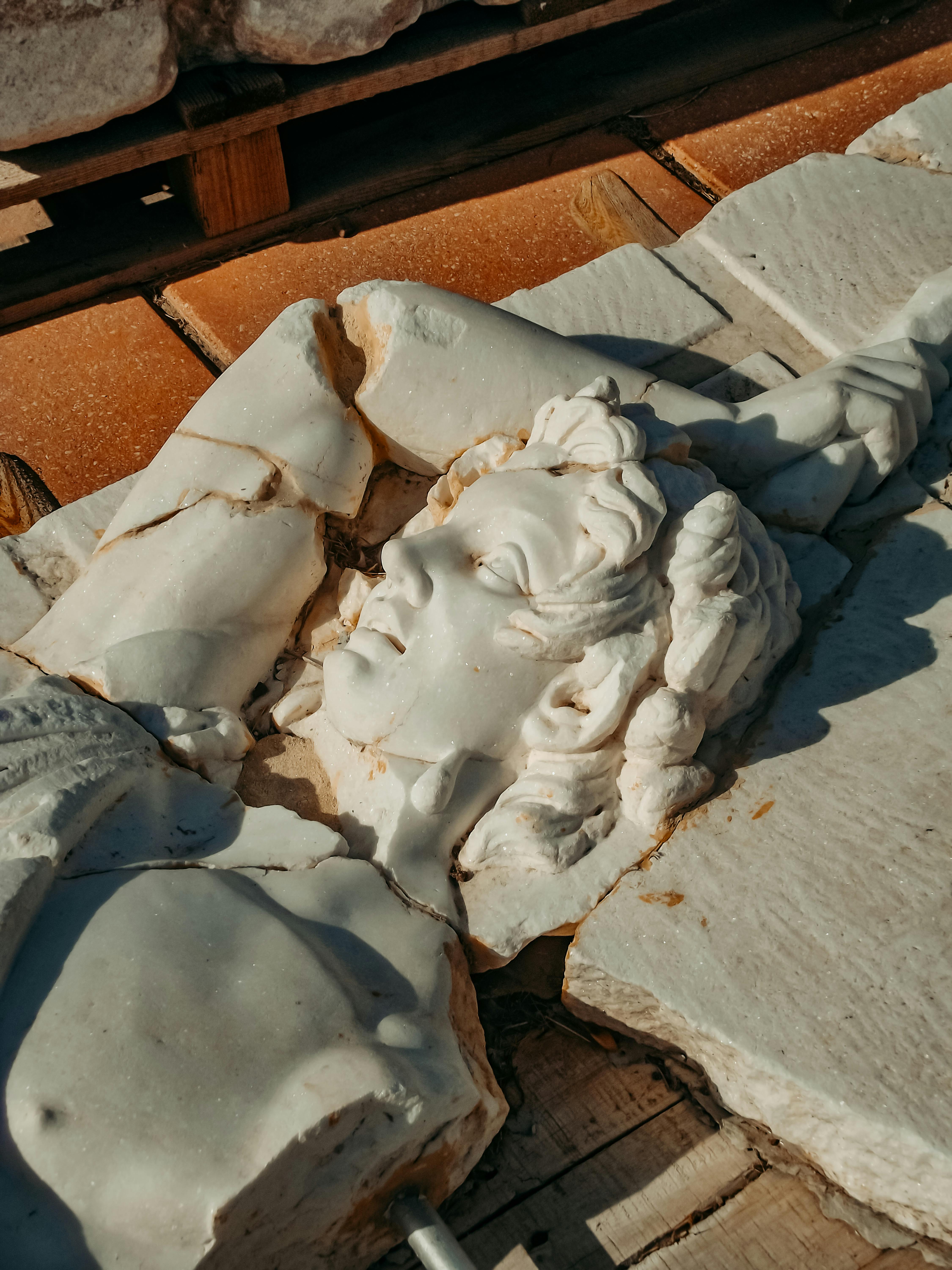 Head and an Arm of a Broken Statue · Free Stock Photo