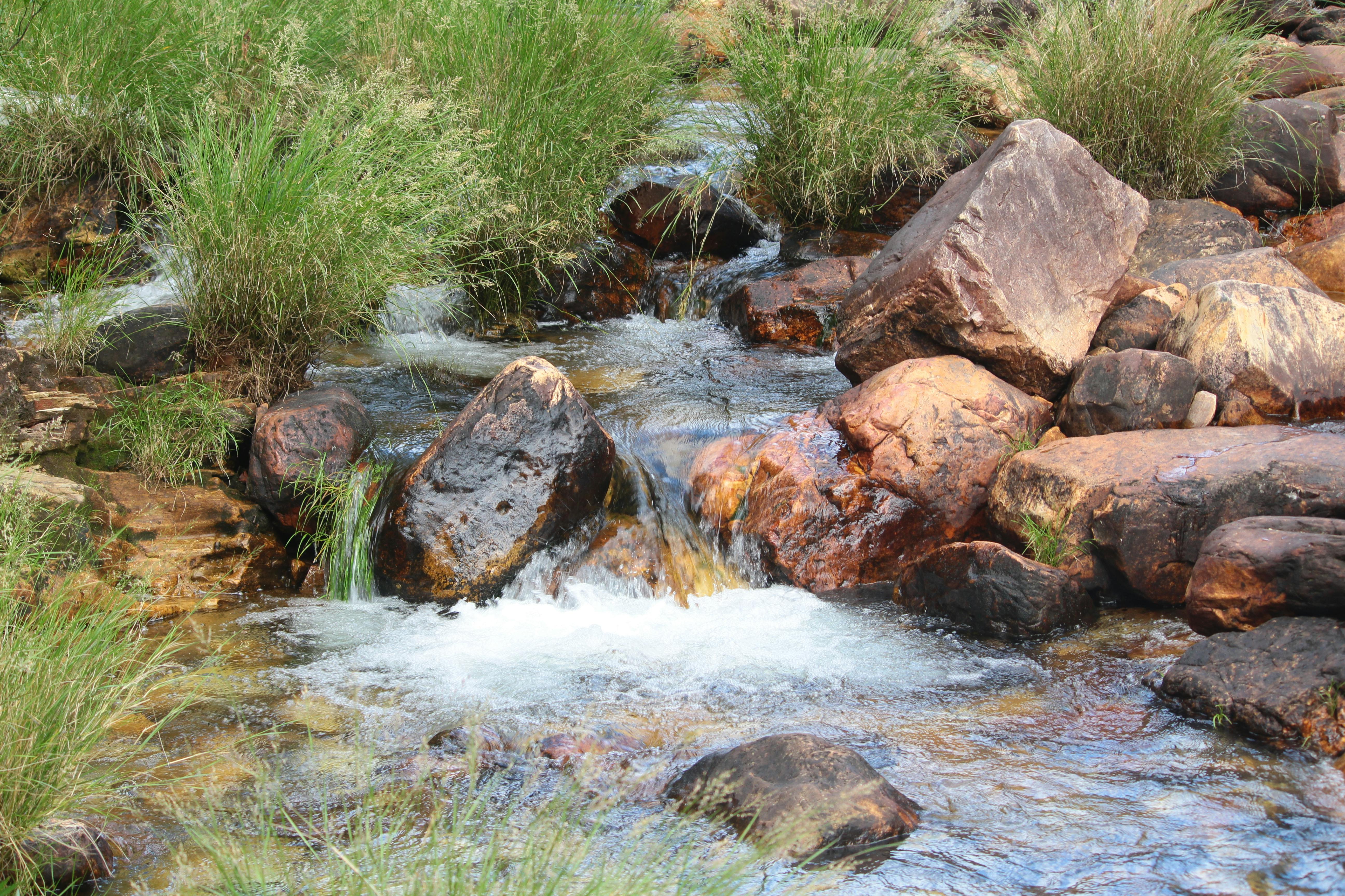 Rocks on Stream · Free Stock Photo