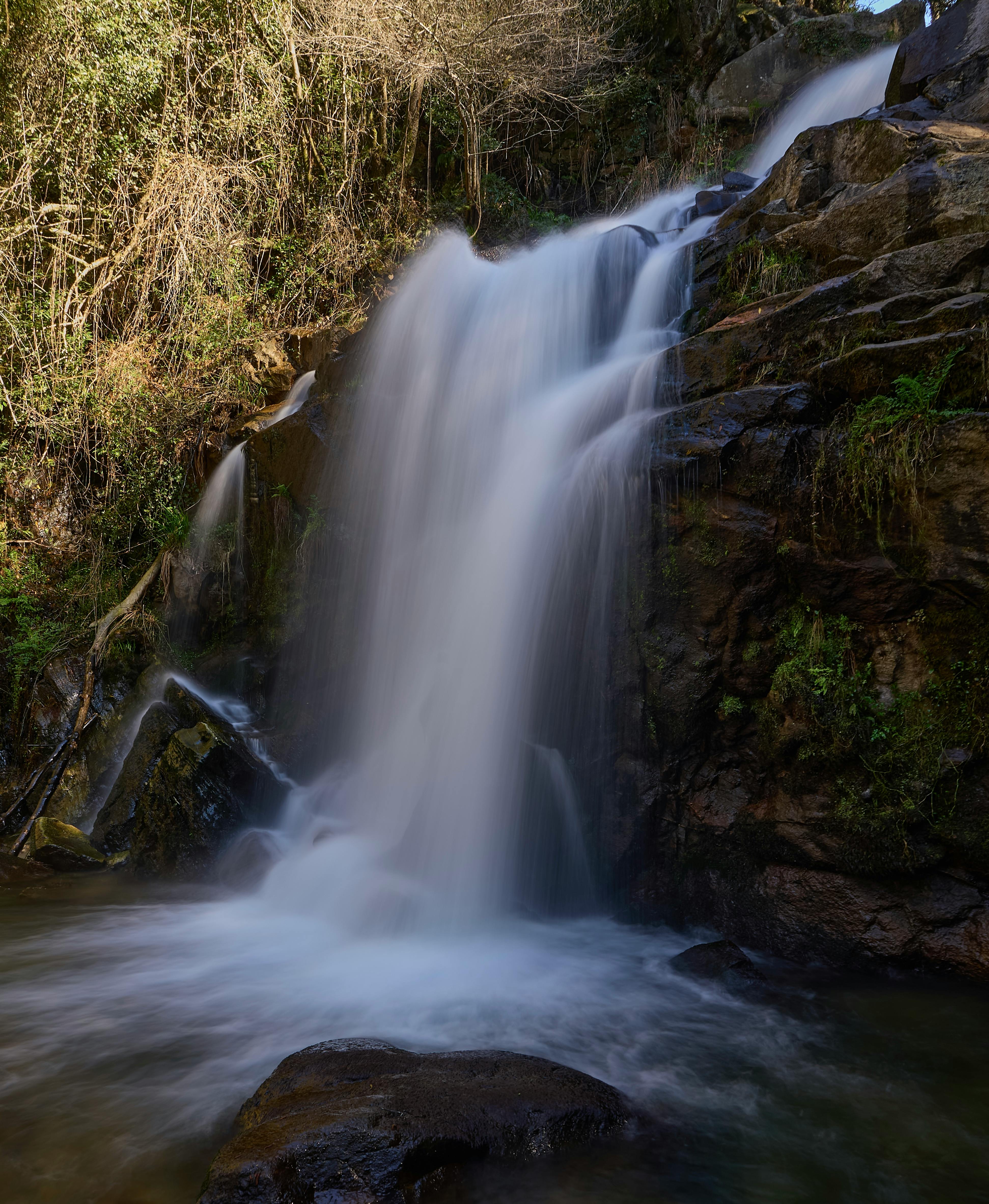 Waterfall Near Bridge Surrounded by Trees · Free Stock Photo