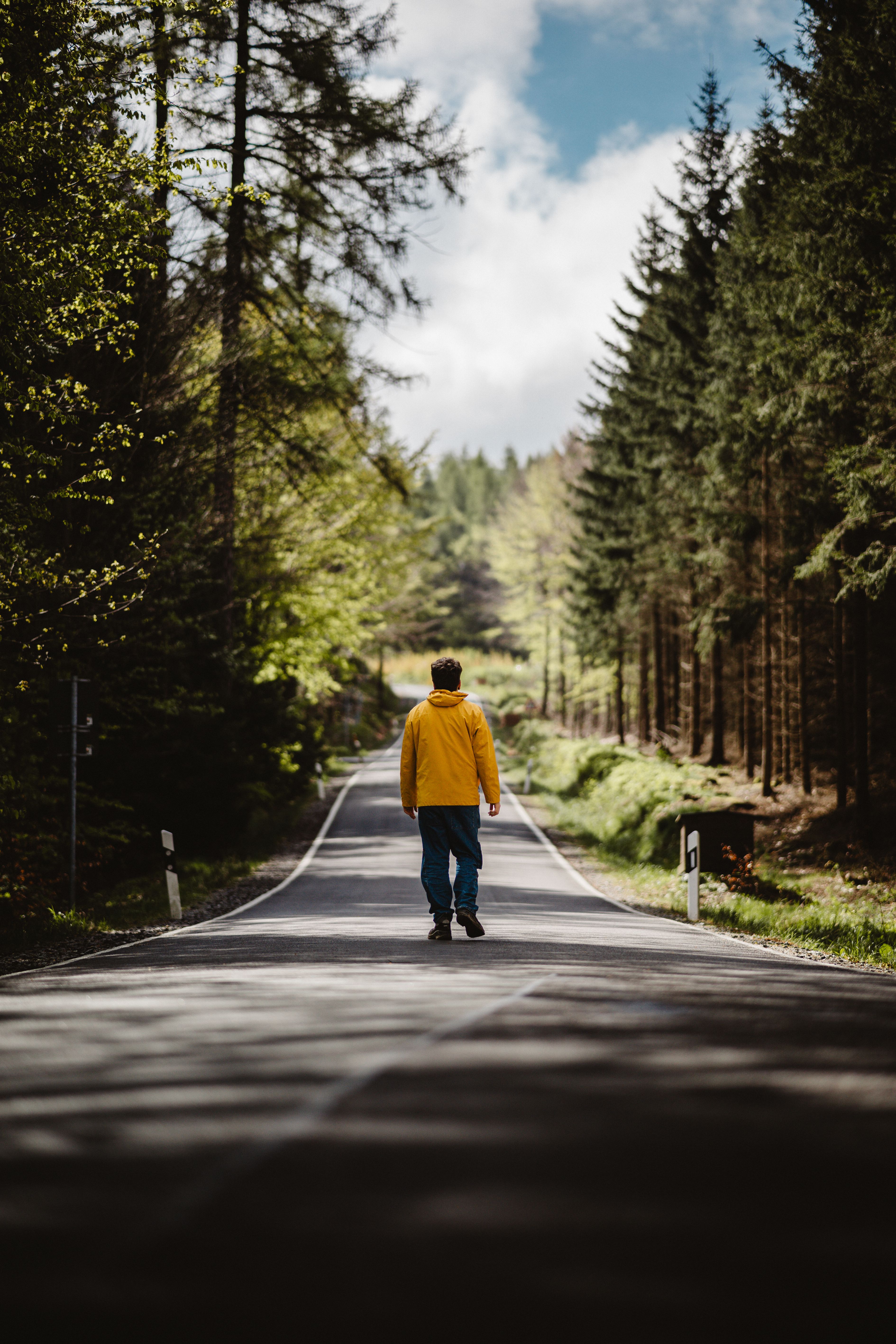 Man in Yellow Jacket on Road through Forest · Free Stock Photo