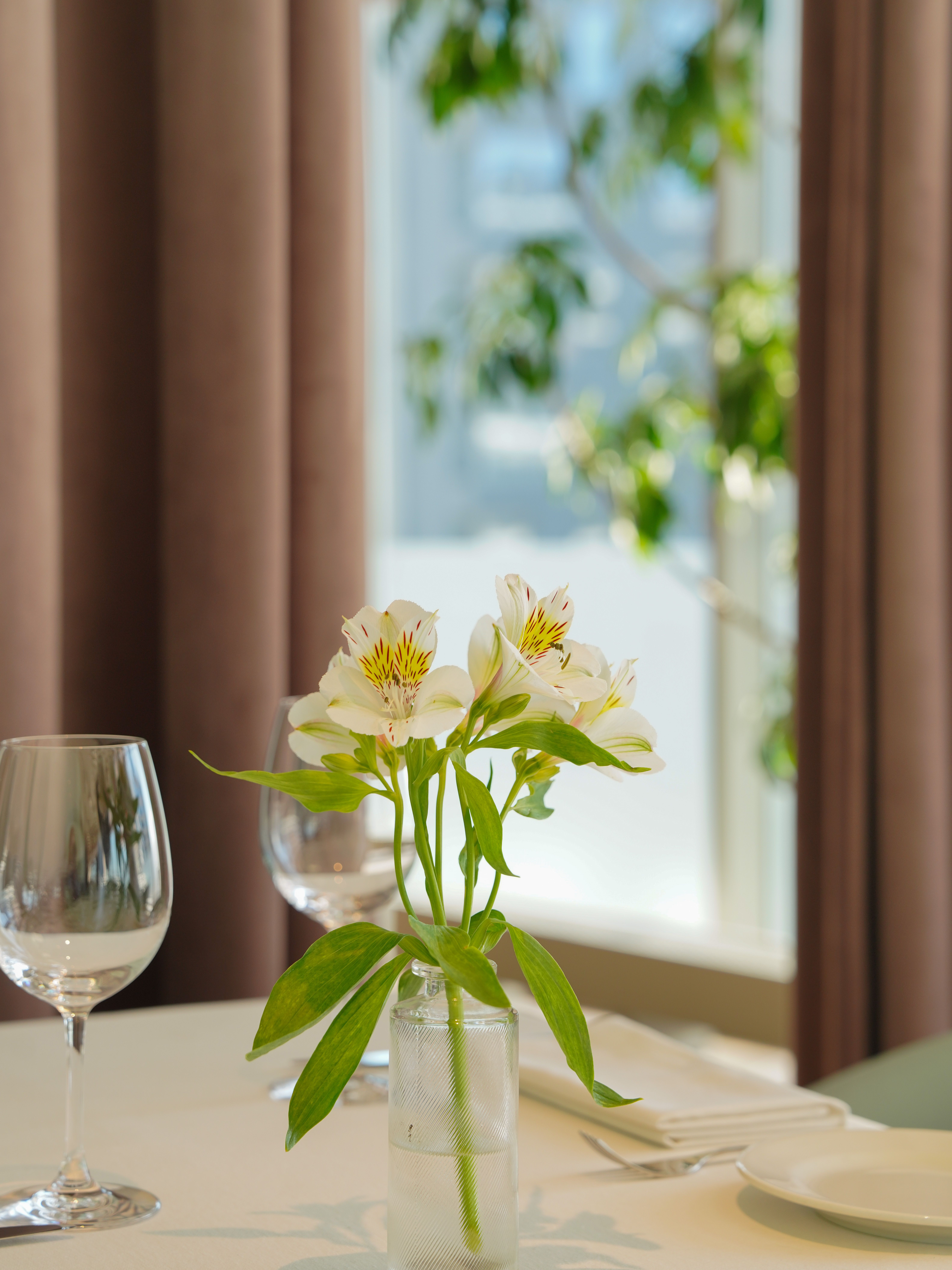 White Peruvian Lily Flowers on a Restaurant Table · Free Stock Photo