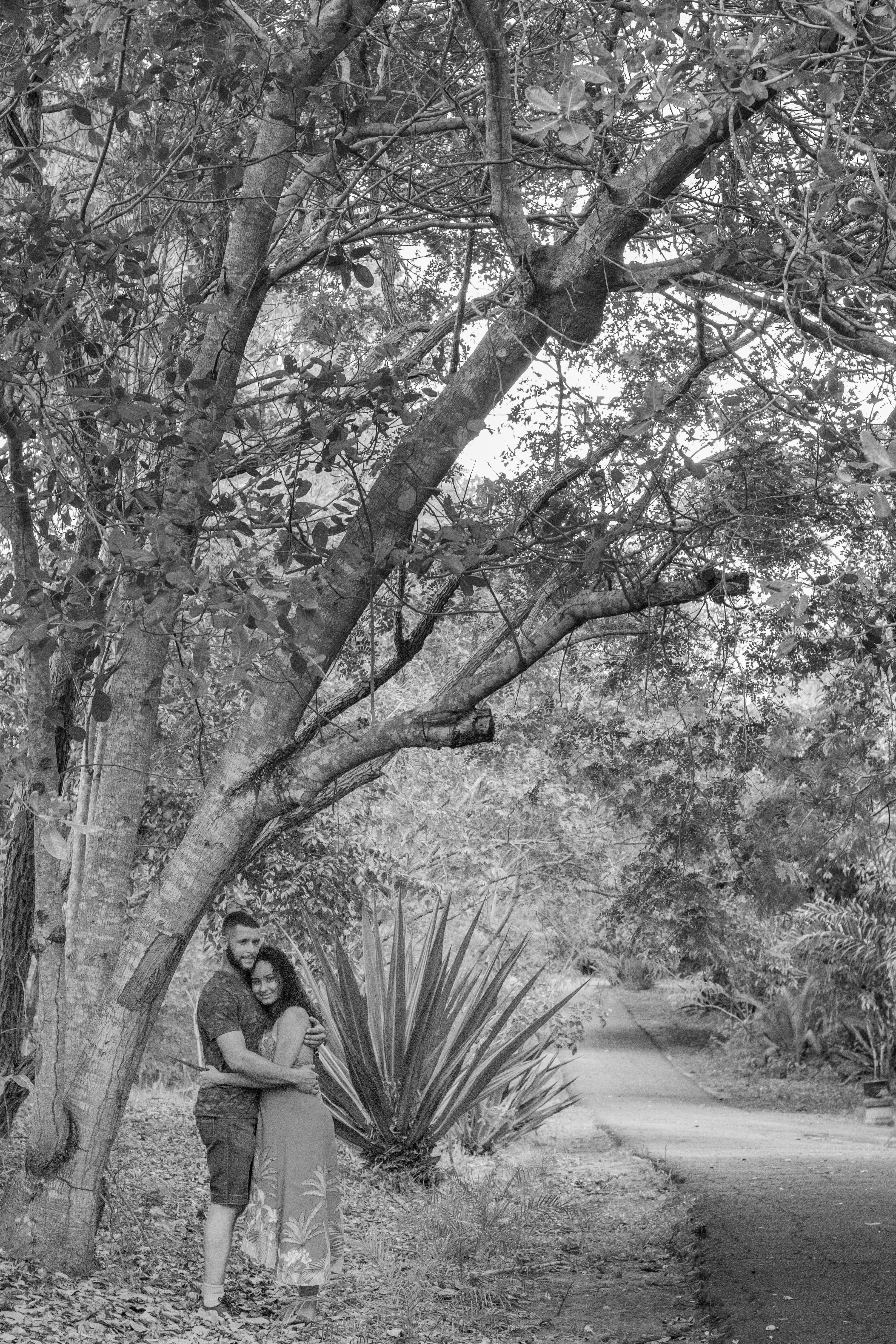 A couple is standing under a tree in black and white · Free Stock Photo