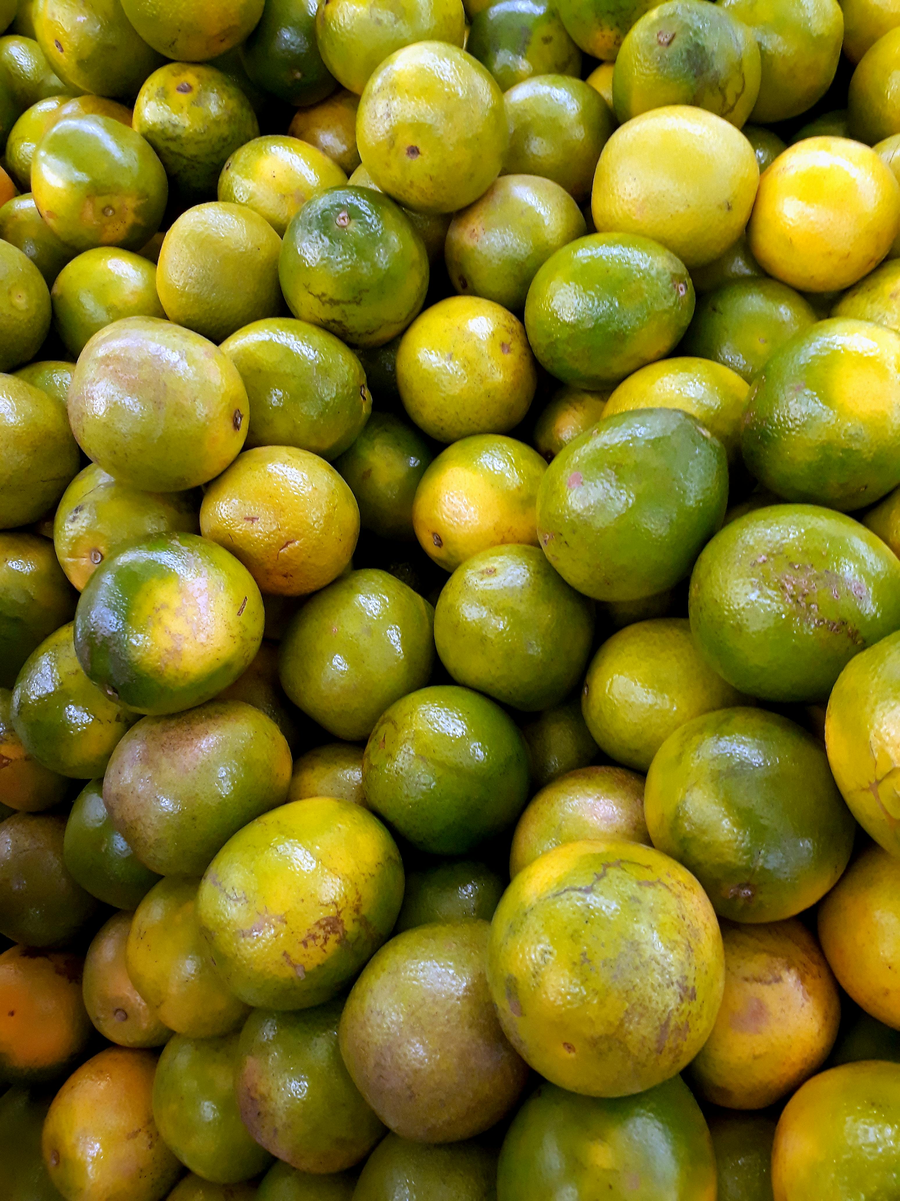 Green Round Fruits · Free Stock Photo