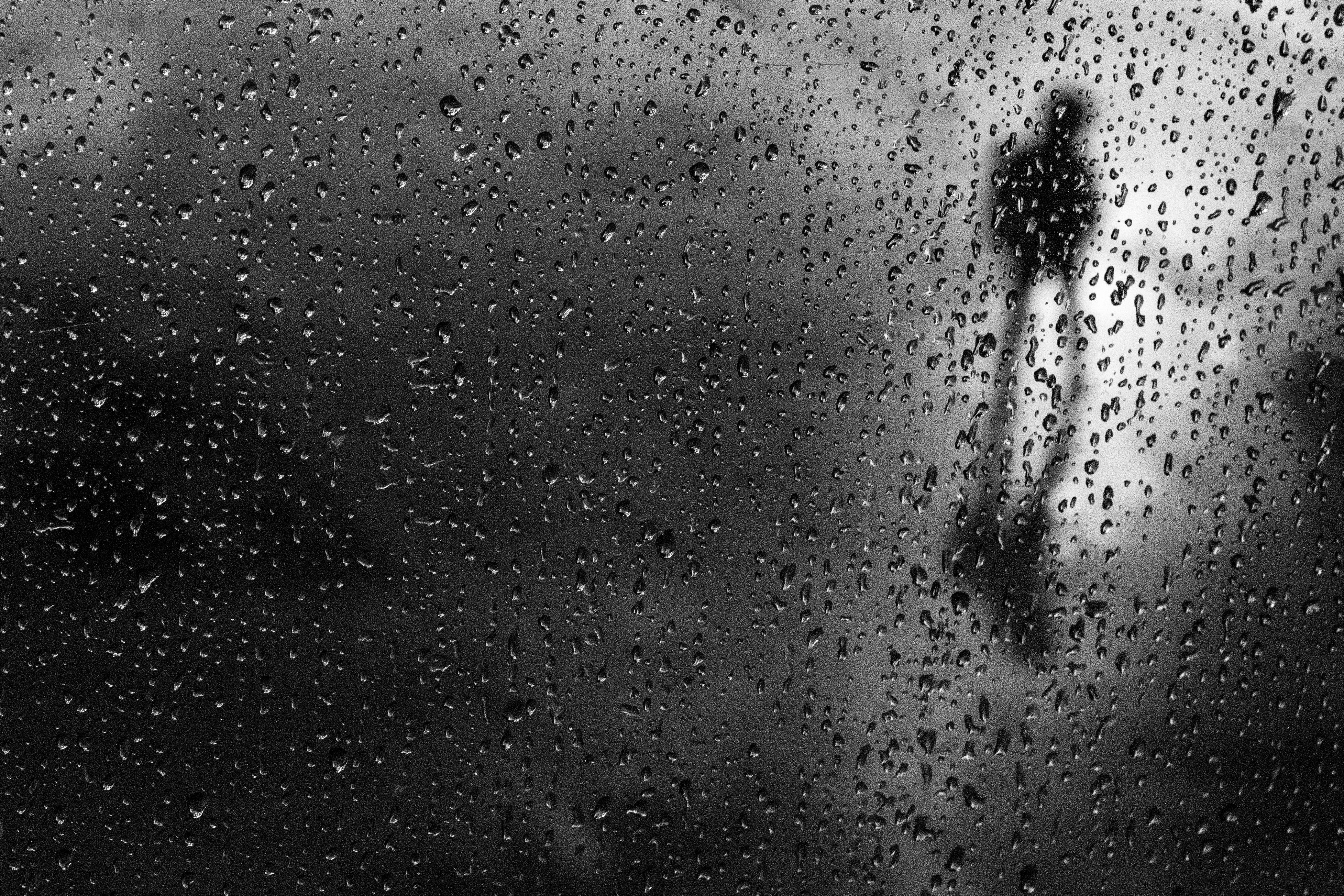 Person Silhouette behind Wet Window in Black and White · Free Stock Photo