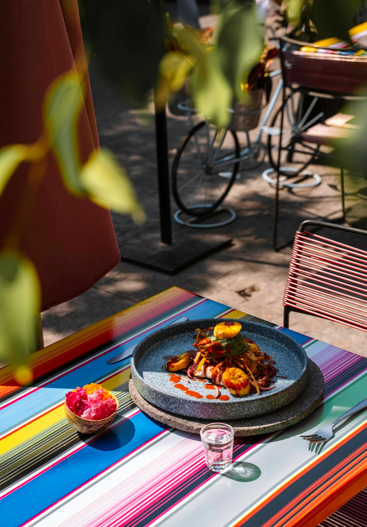 Learner Plate Photos, Download The BEST Free Learner Plate Stock Photos ...