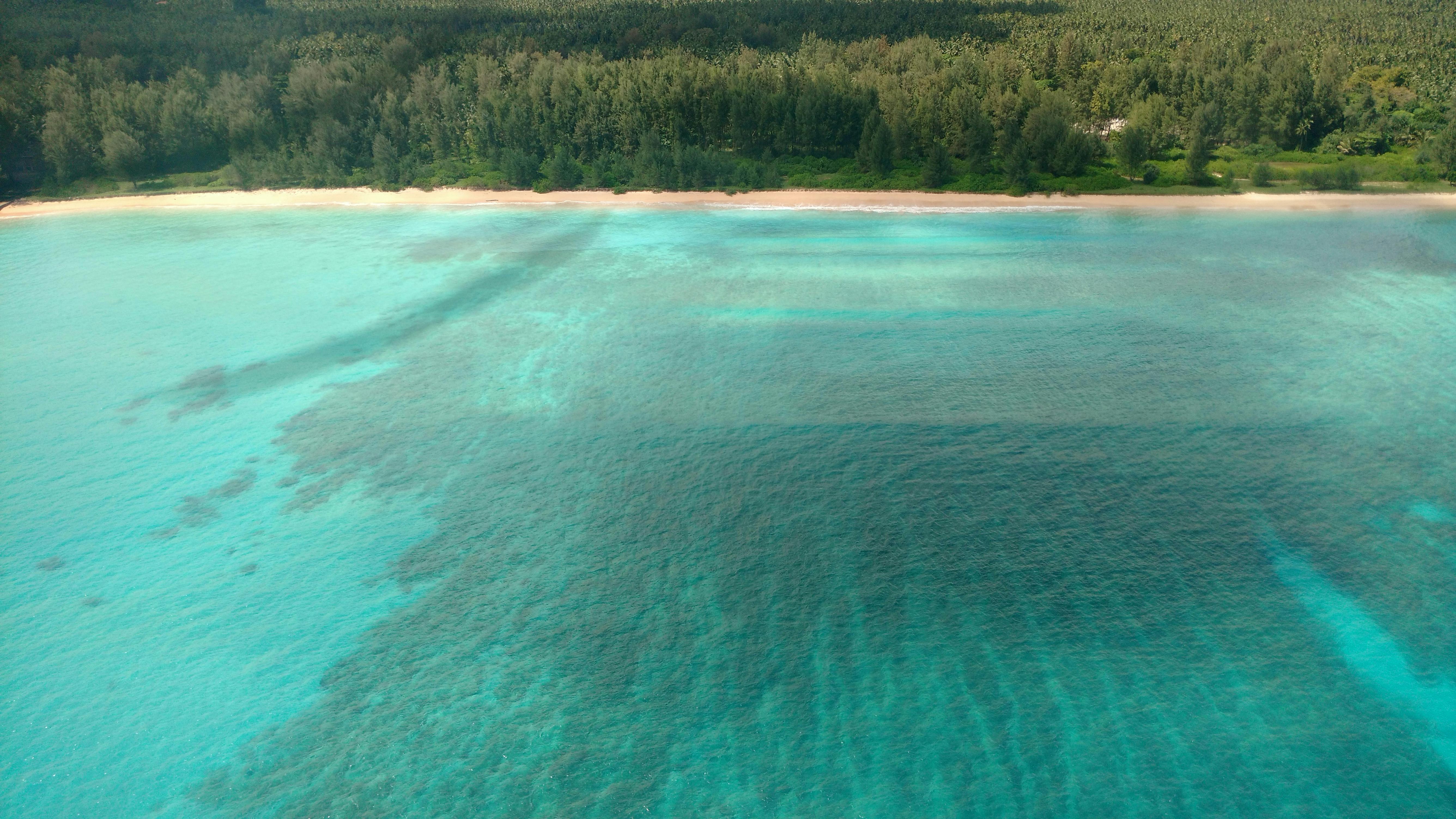 Turquoise Sea by the Beach · Free Stock Photo