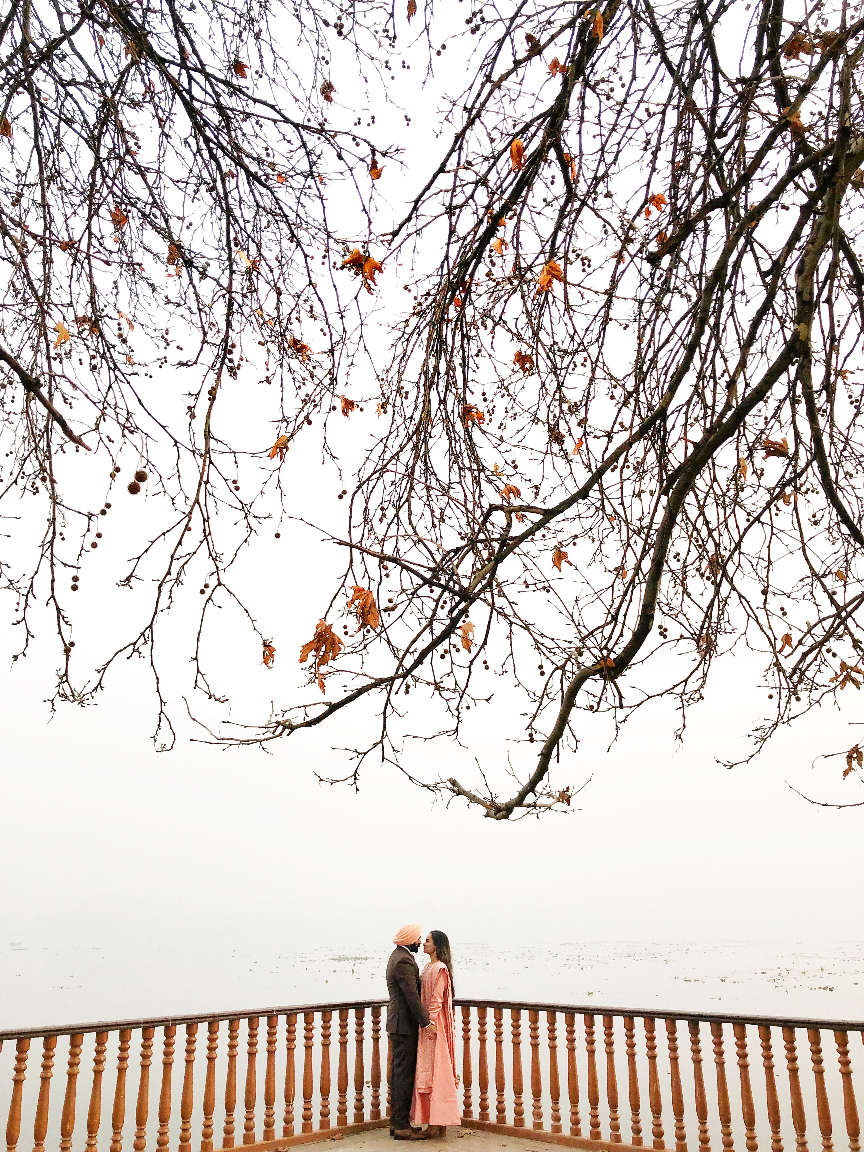 Loving Couple Standing Together on Shore of Dal Lake in India · Free ...