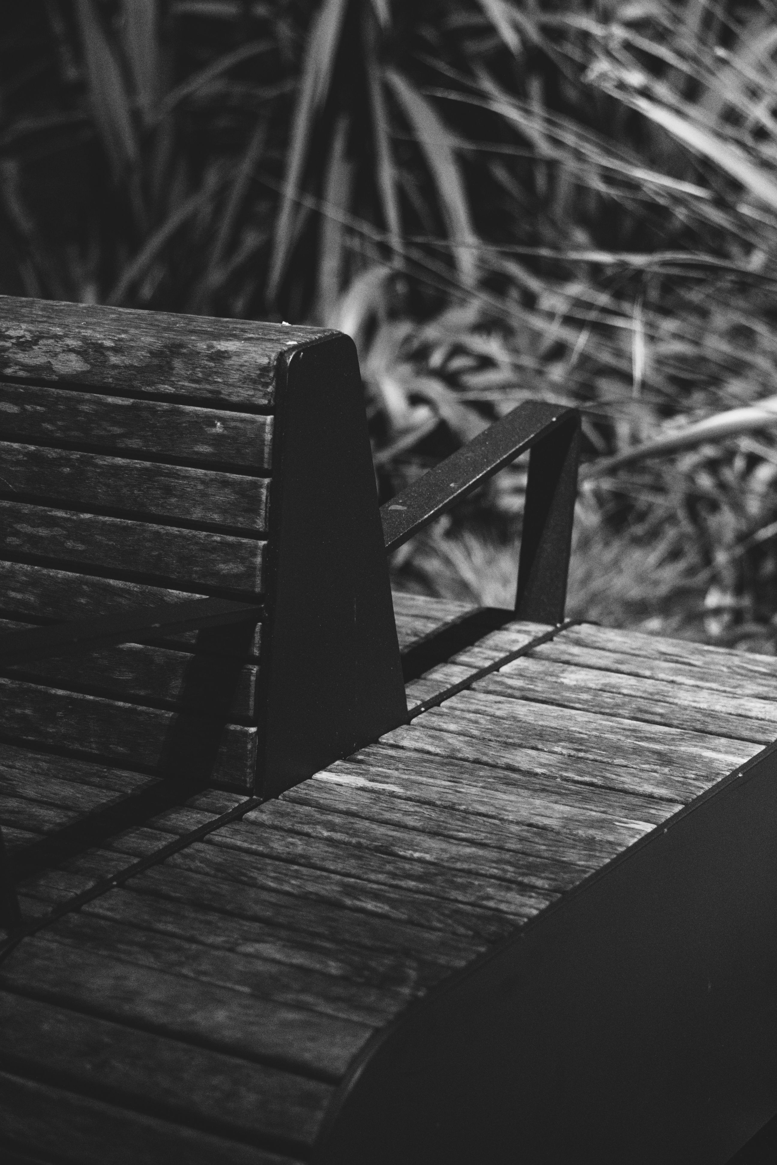 Wooden Bench with Handrail · Free Stock Photo