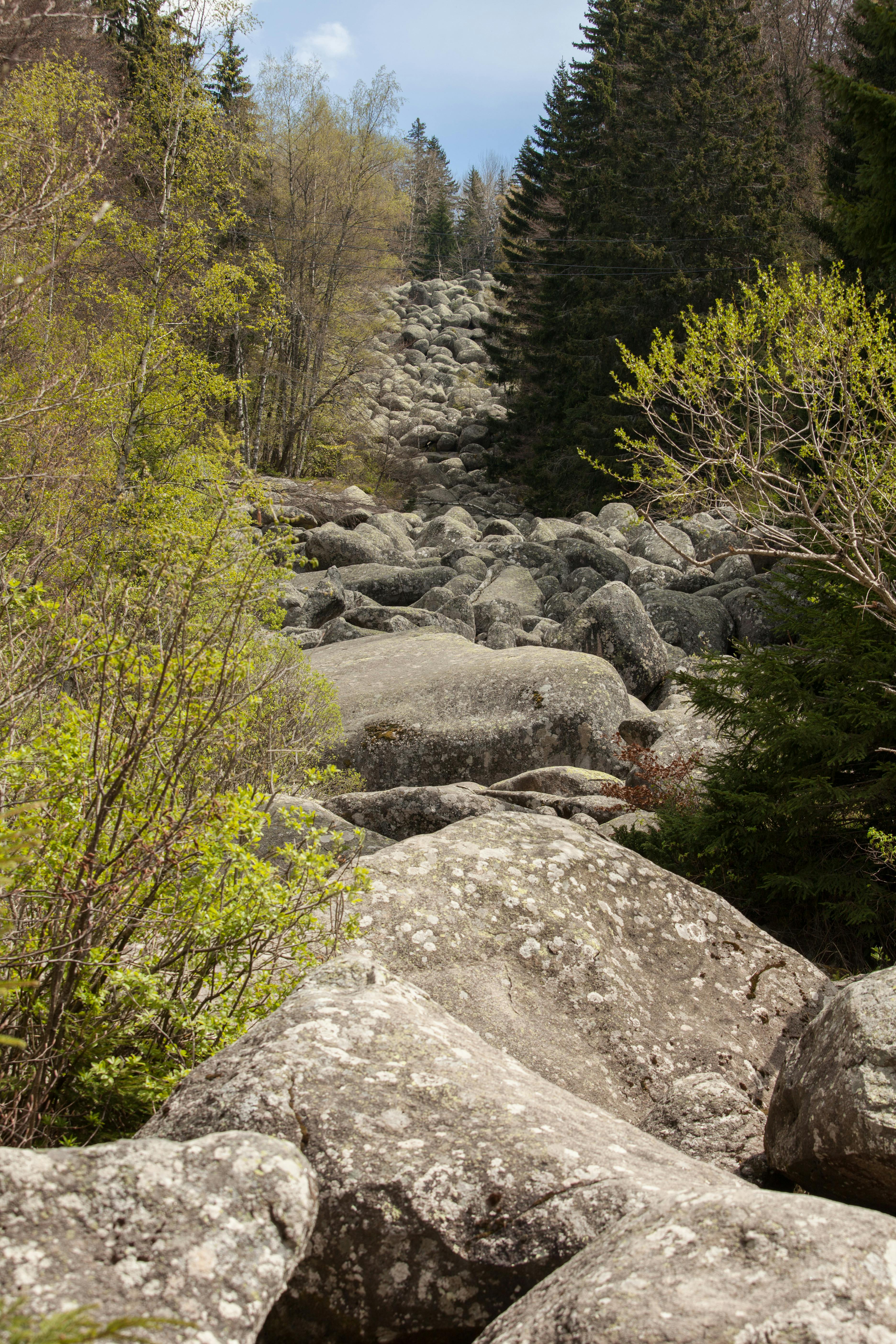 Rocky Forest Path with Large Boulders · Free Stock Photo