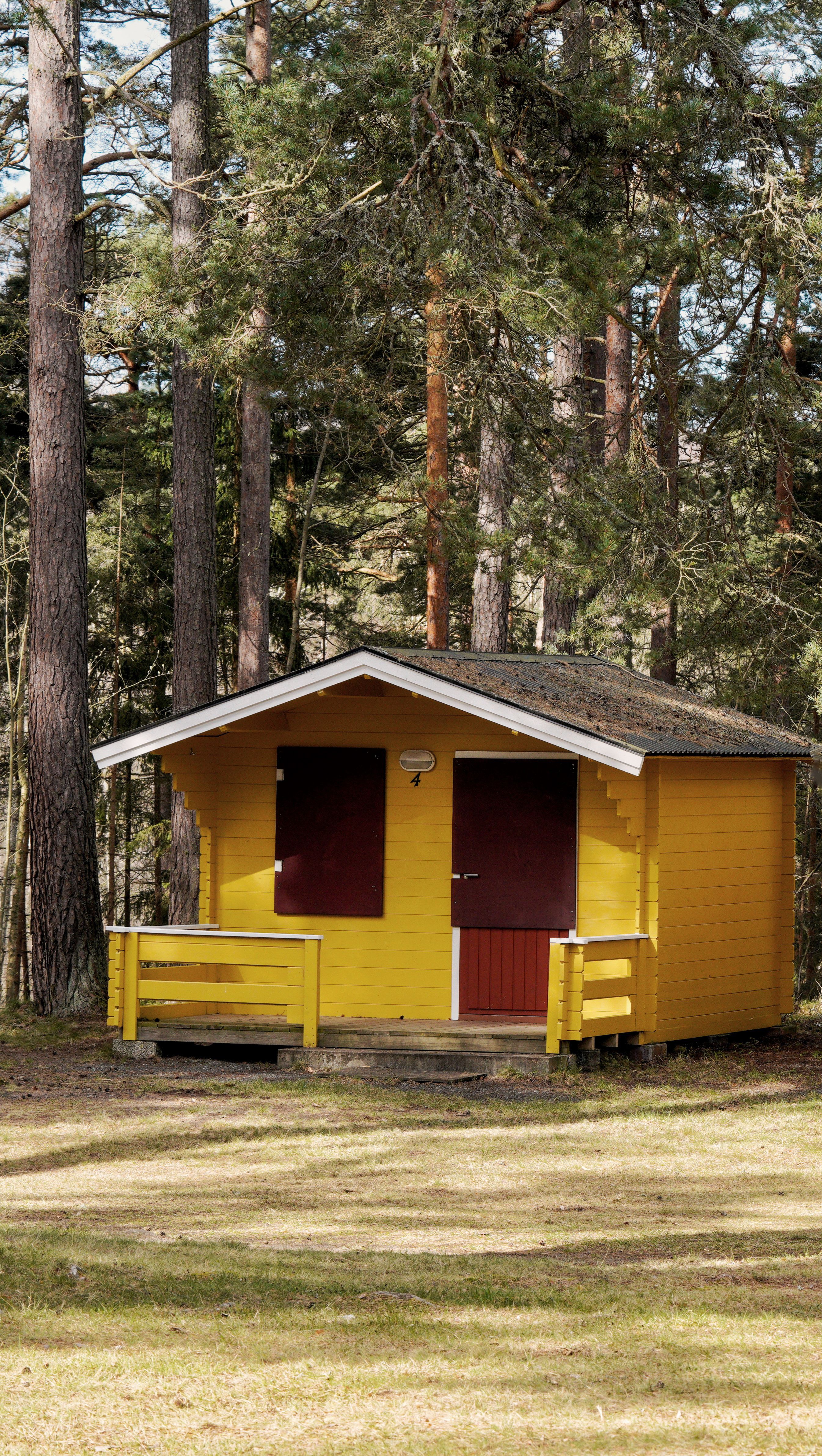Yellow Small Cabin in Forest · Free Stock Photo