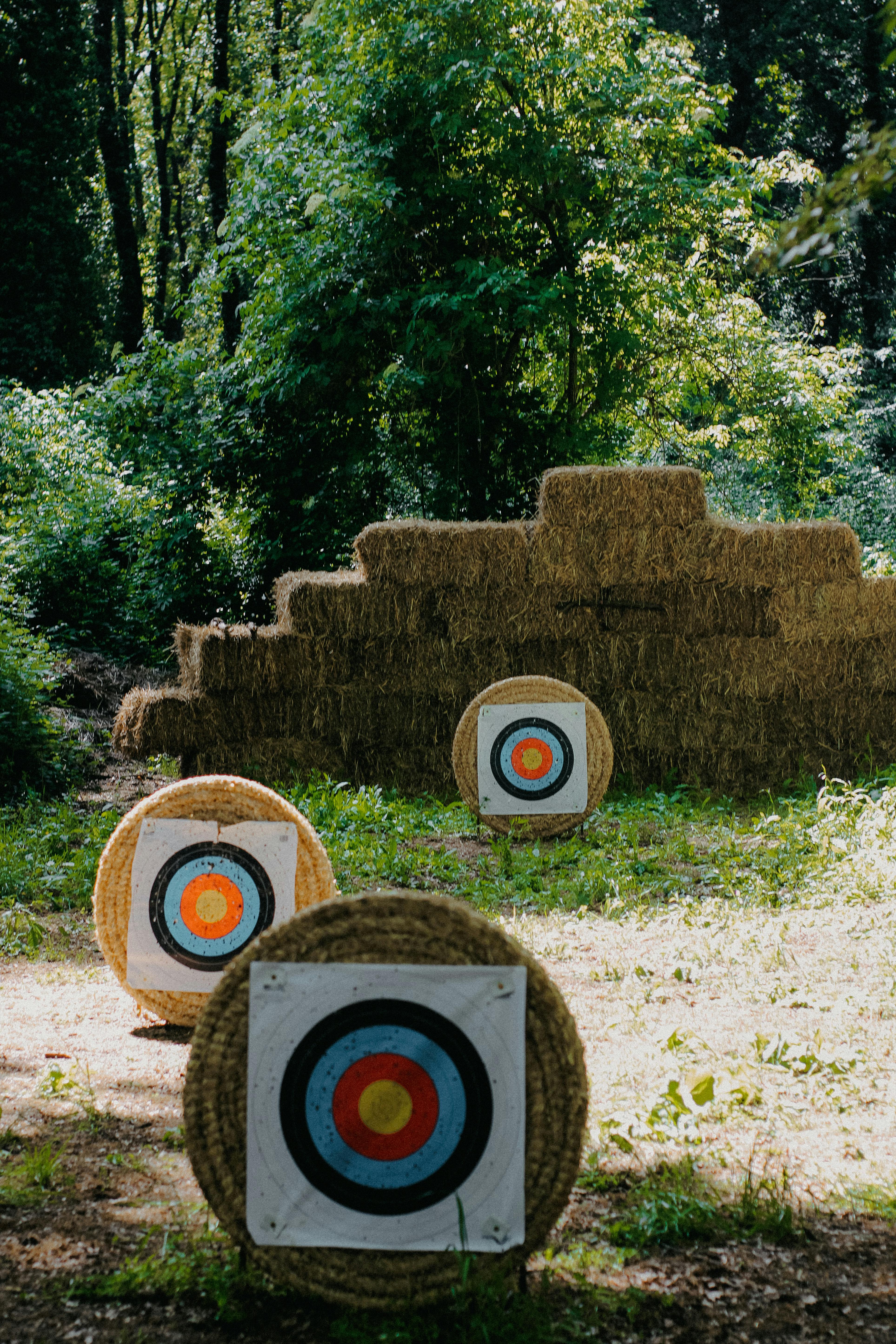 Archery target set up in the woods · Free Stock Photo