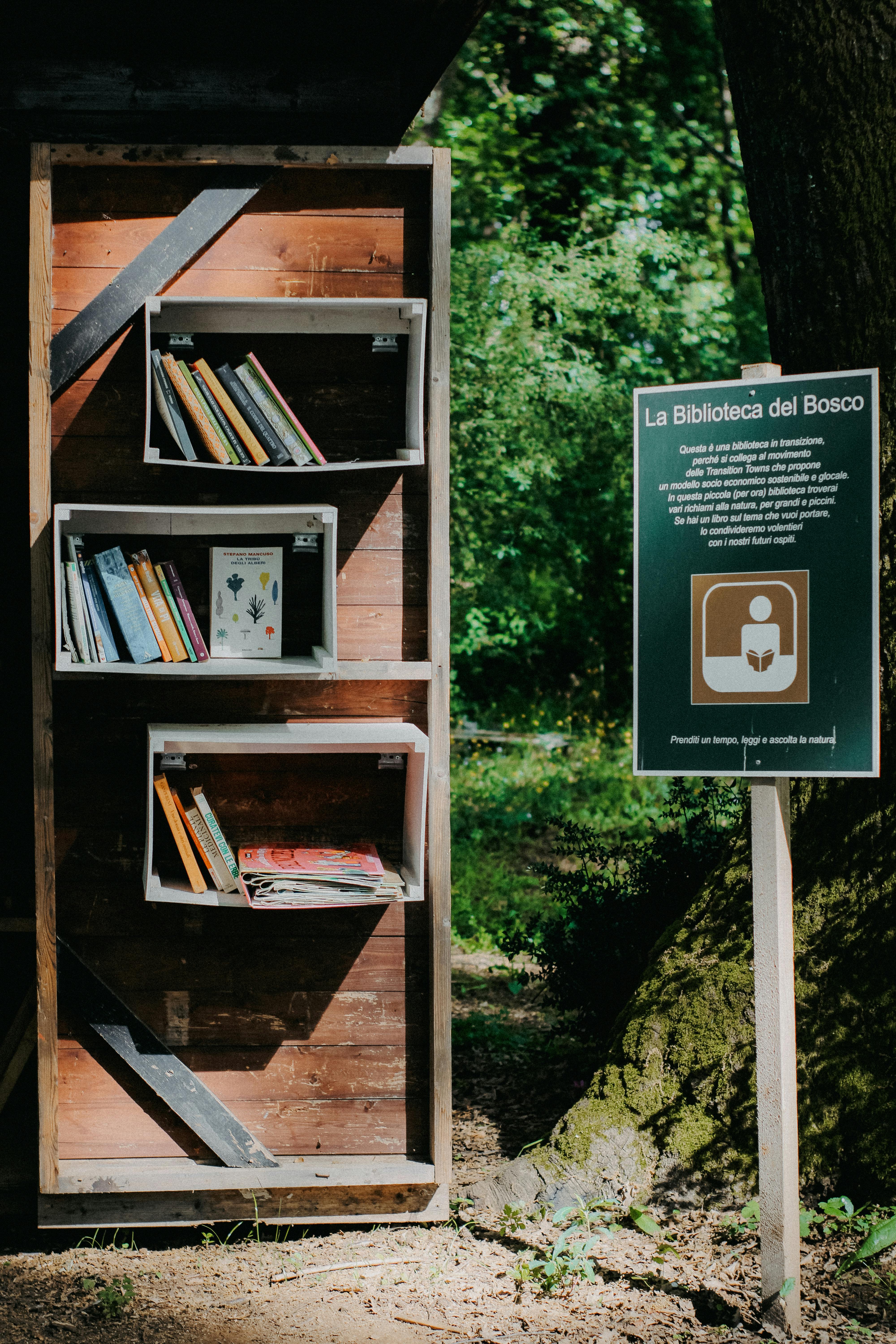Book Sharing Library in Park · Free Stock Photo