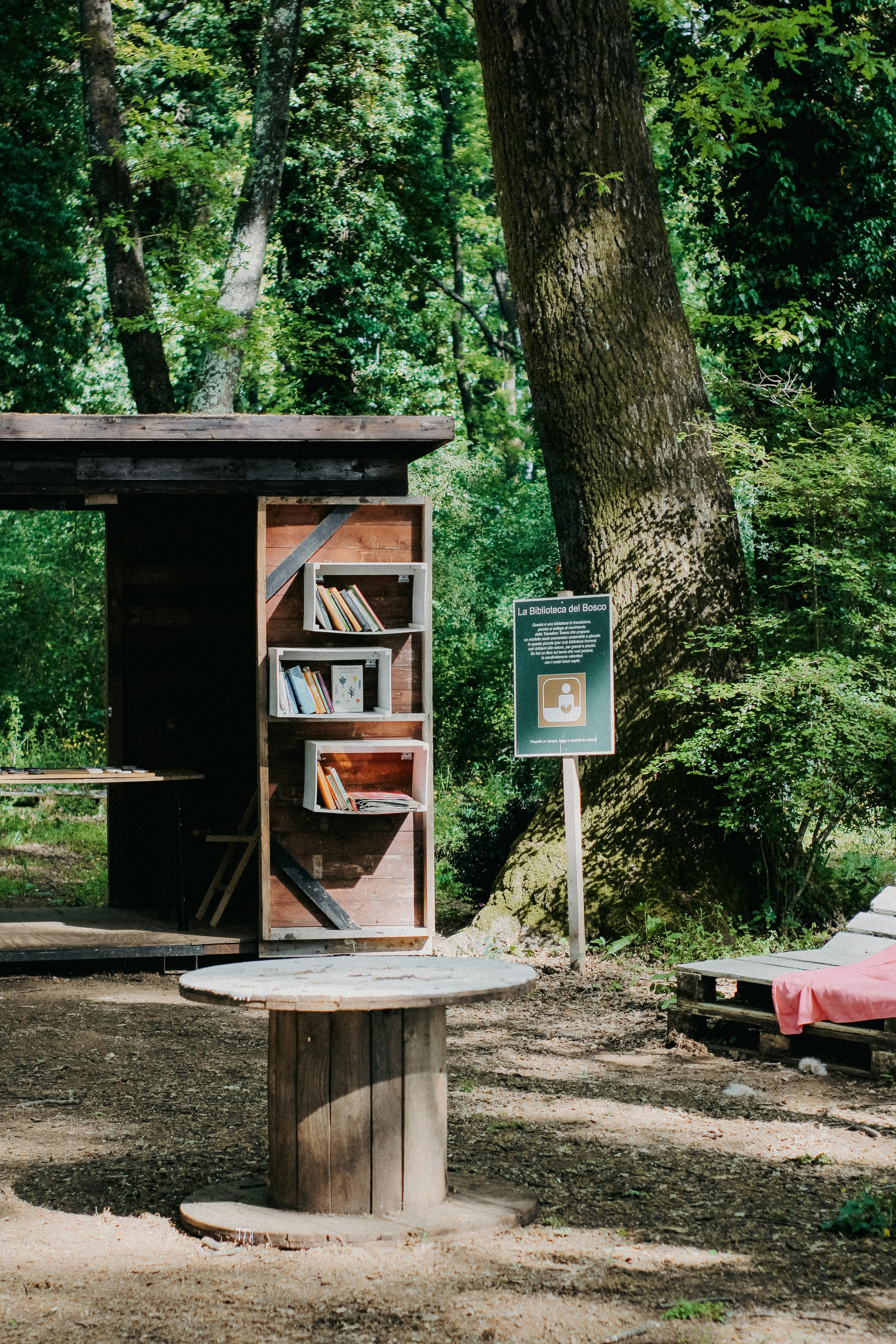 Books Sharing Shelves in Park · Free Stock Photo