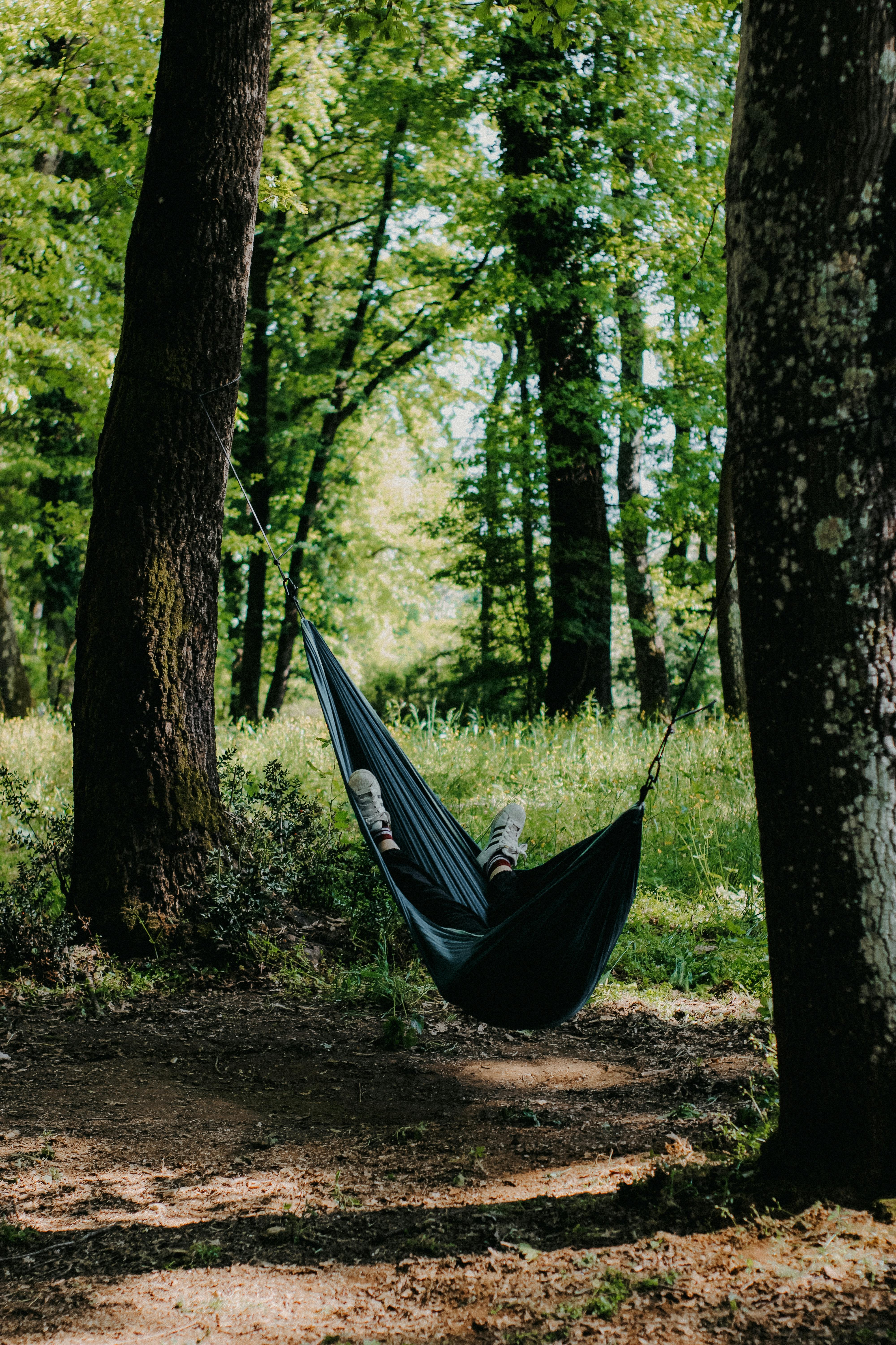 Person in Hammock between Trees · Free Stock Photo