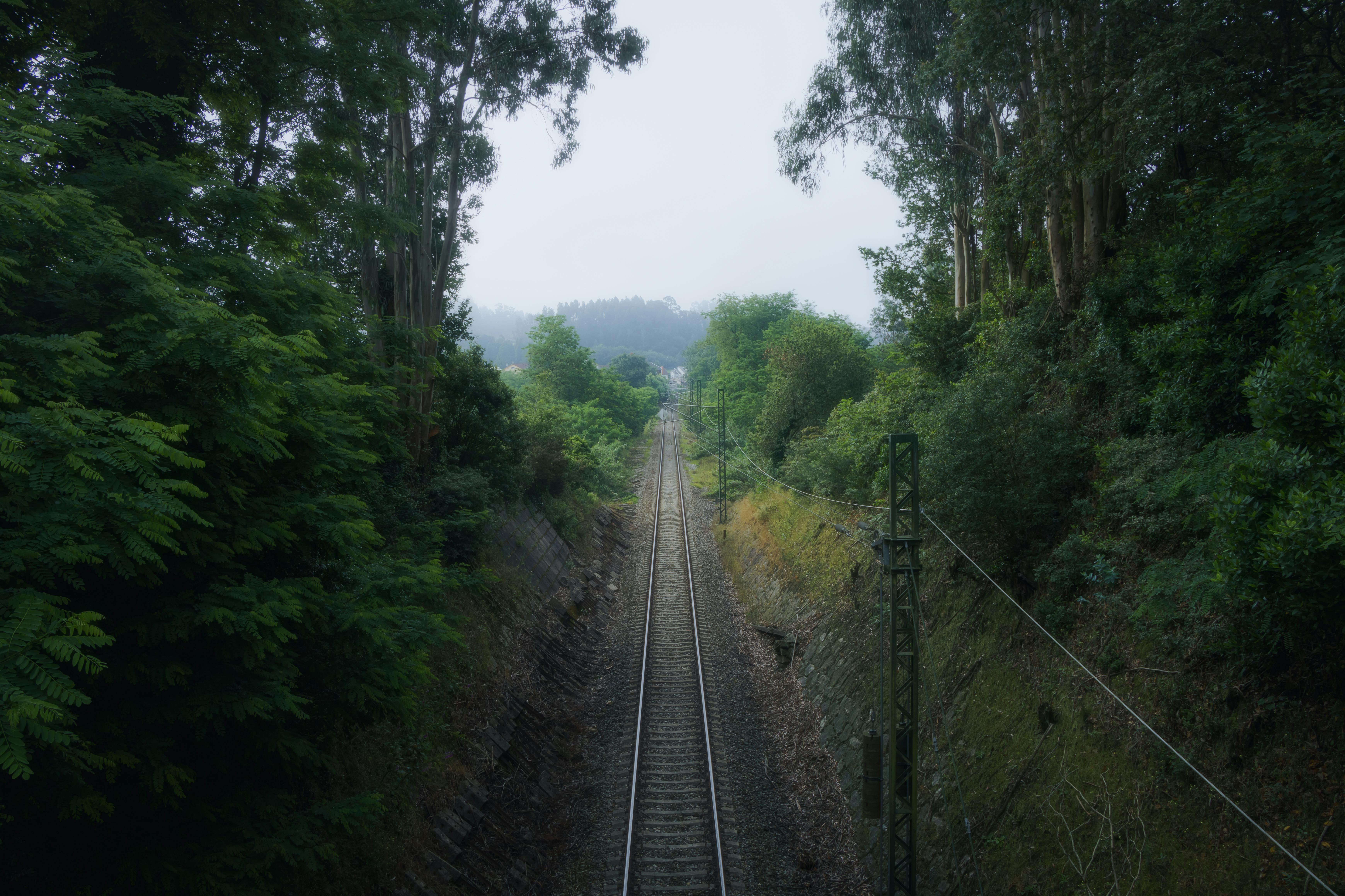 Aerial Photo of Railroad Tracks in a Forest · Free Stock Photo