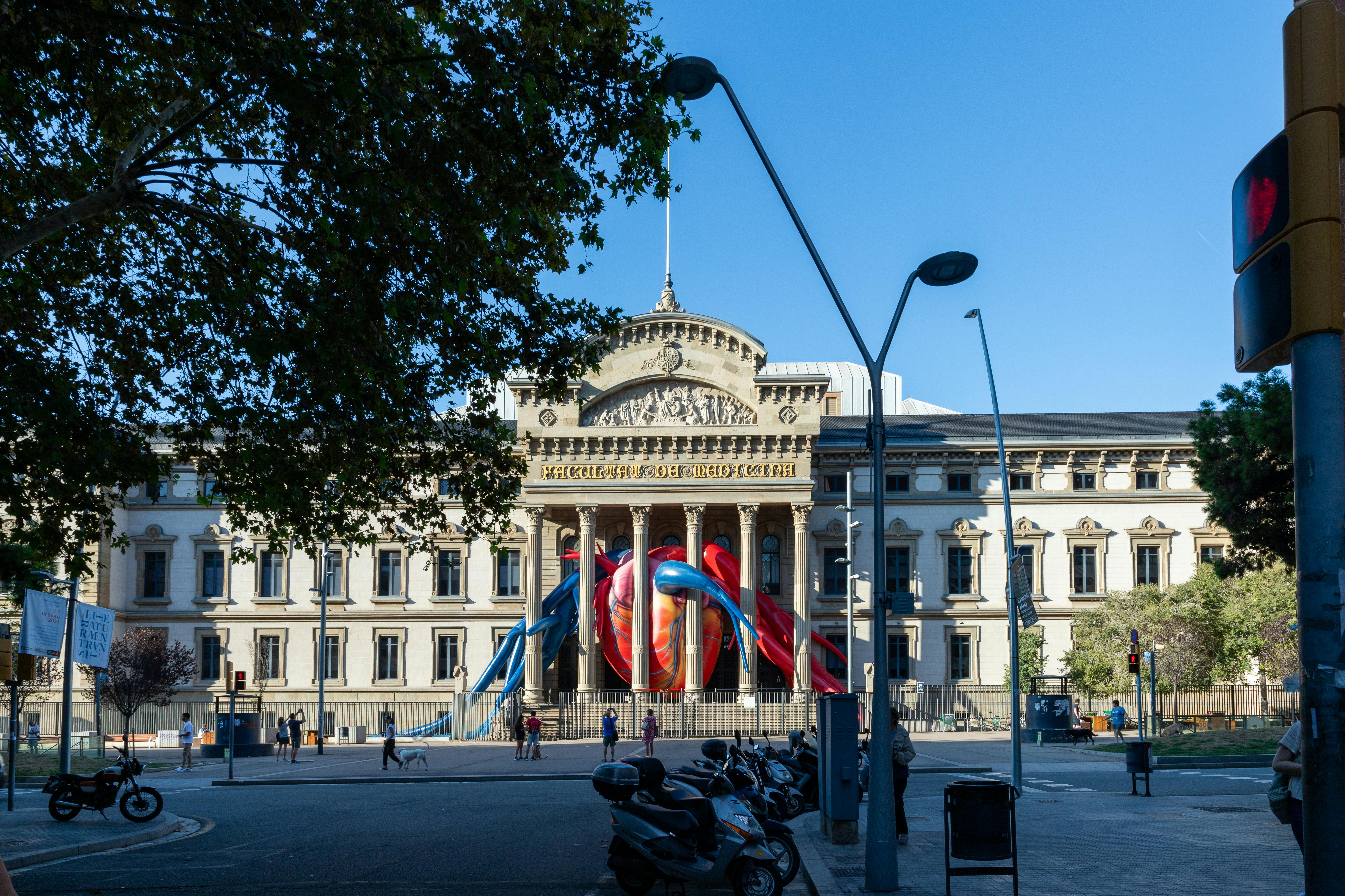 El cor secret · Free Stock Photo