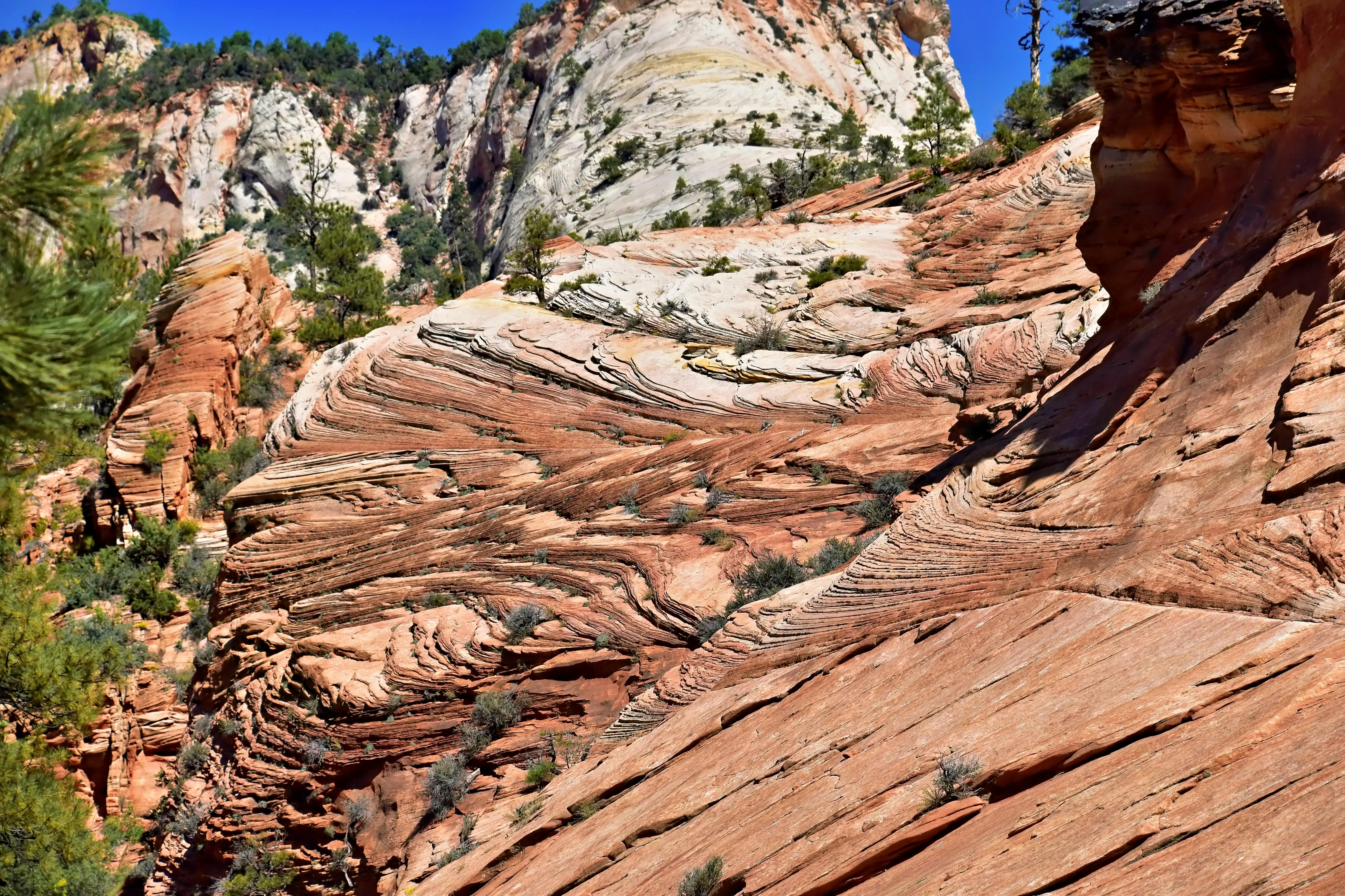 Rock Formation in Zion National Park · Free Stock Photo