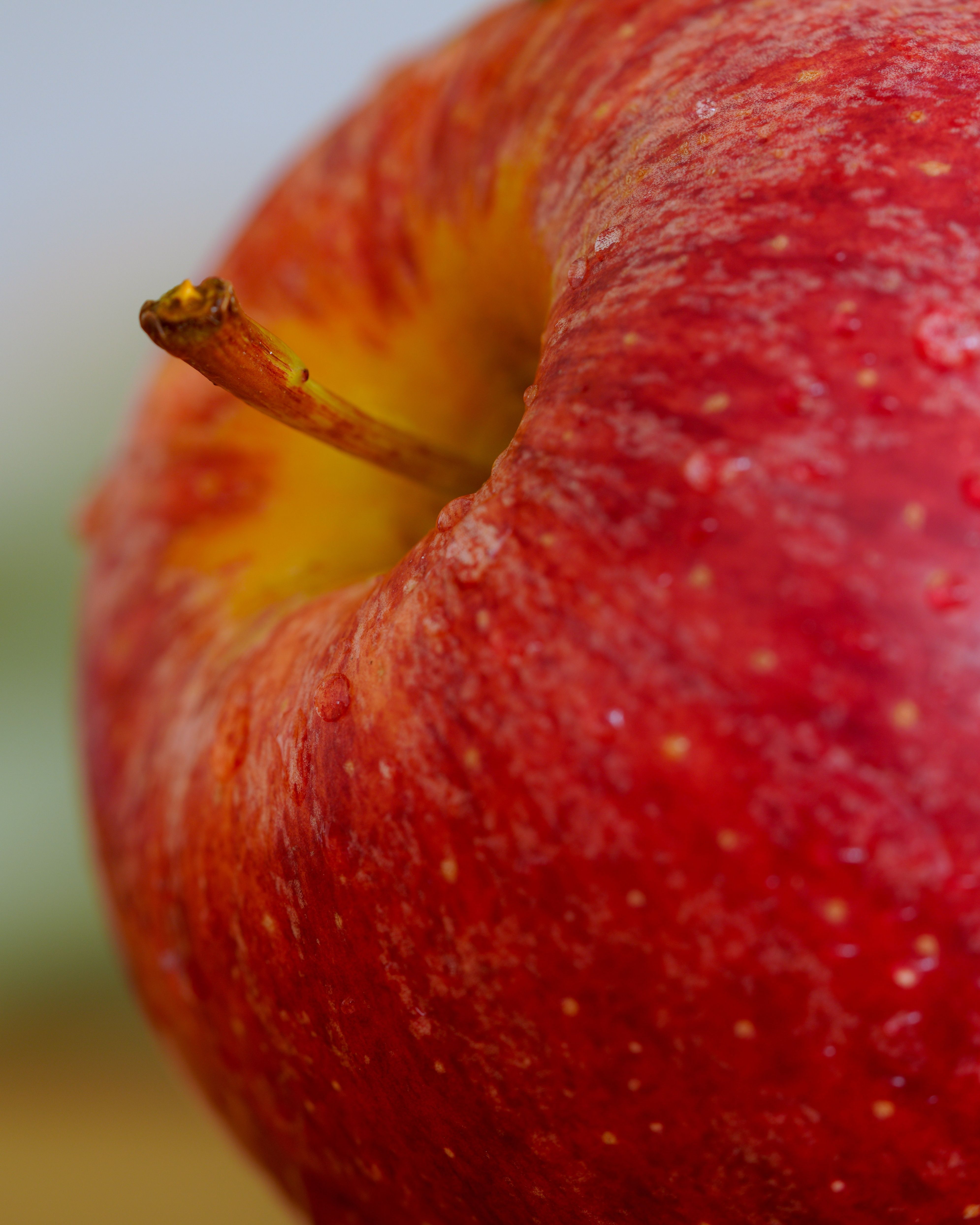 Close Up of an Apple · Free Stock Photo