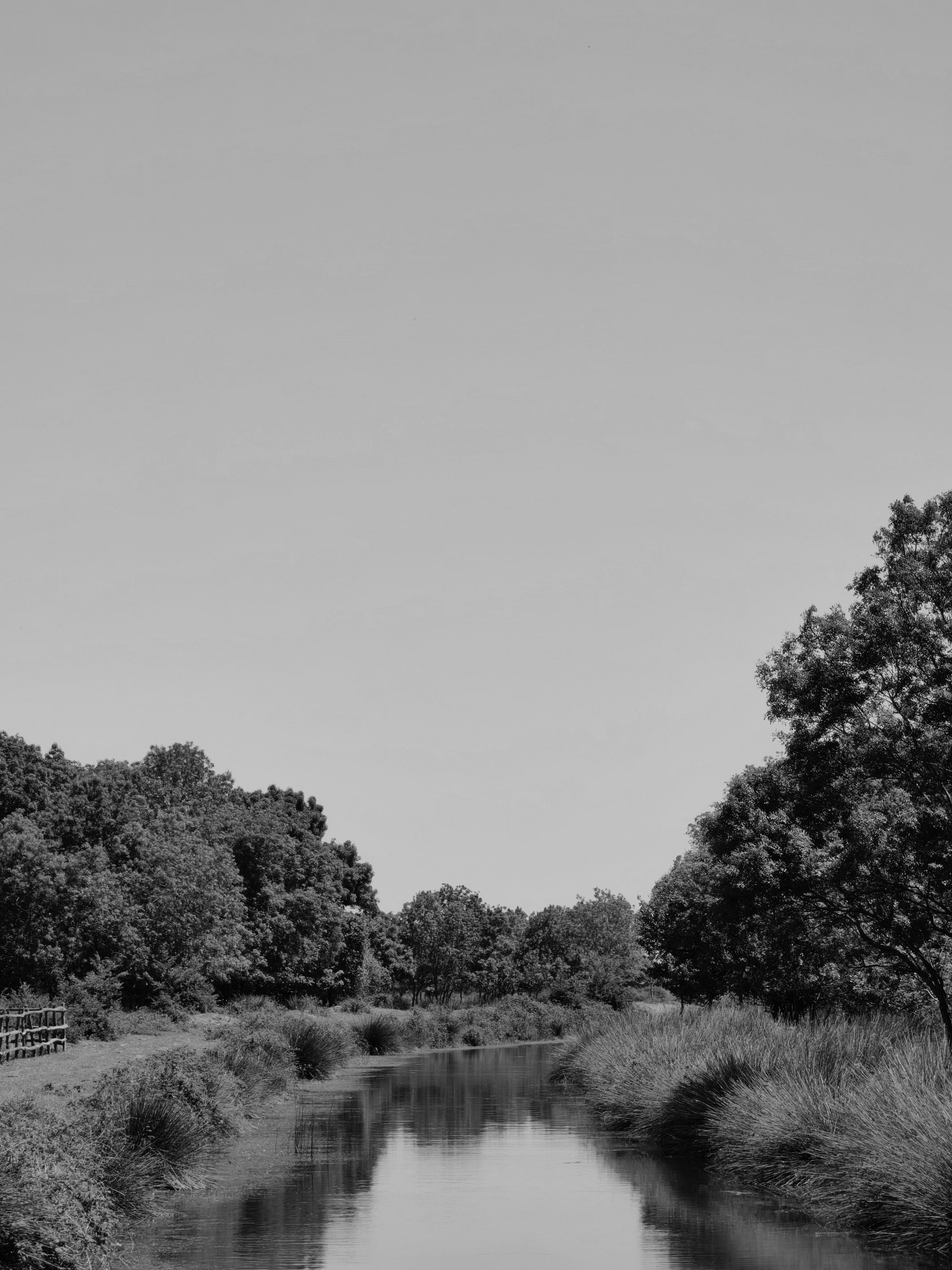 Stream Flowing through a Rural Landscape · Free Stock Photo