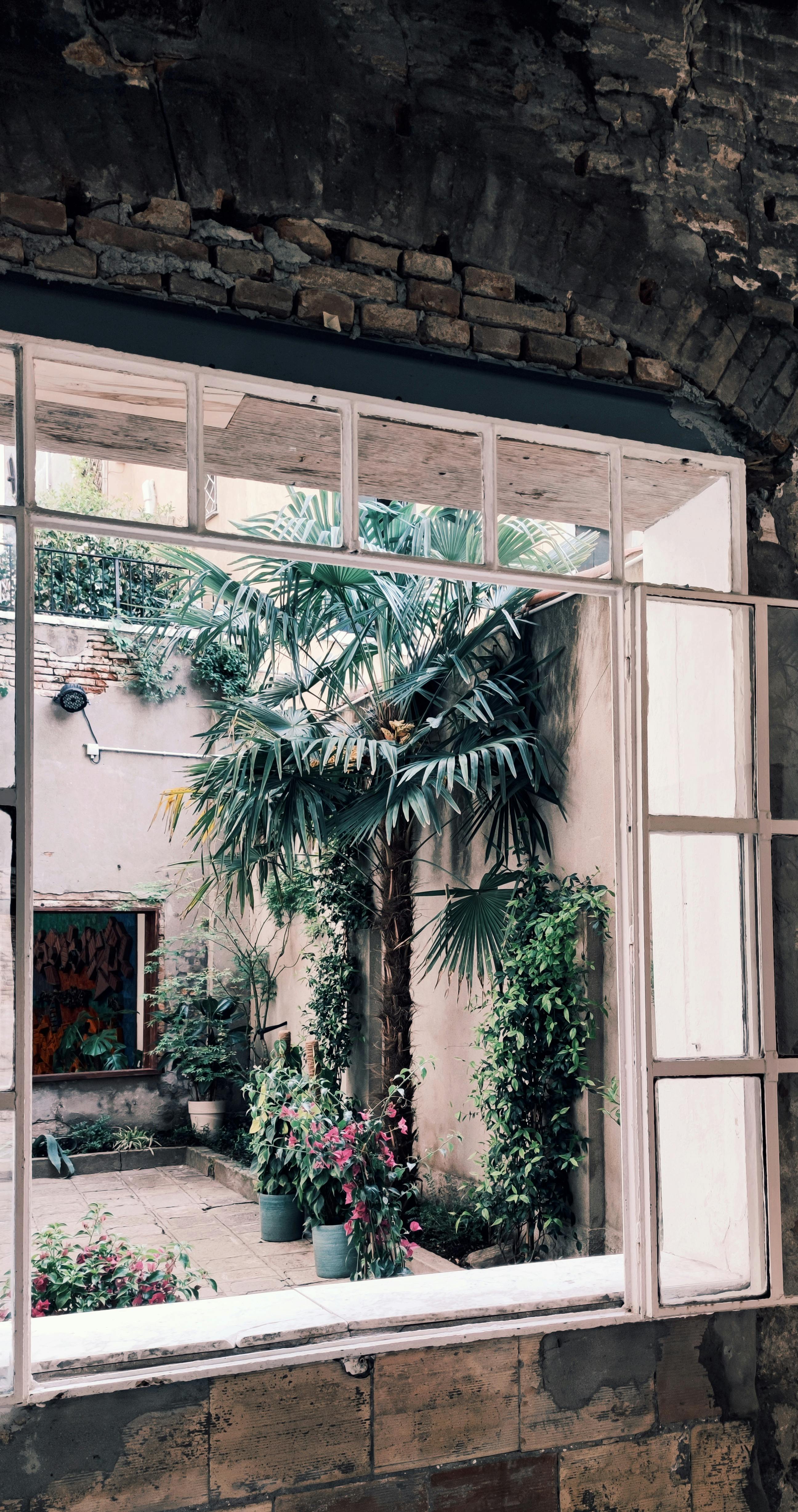 ana simona bevecz - Photography