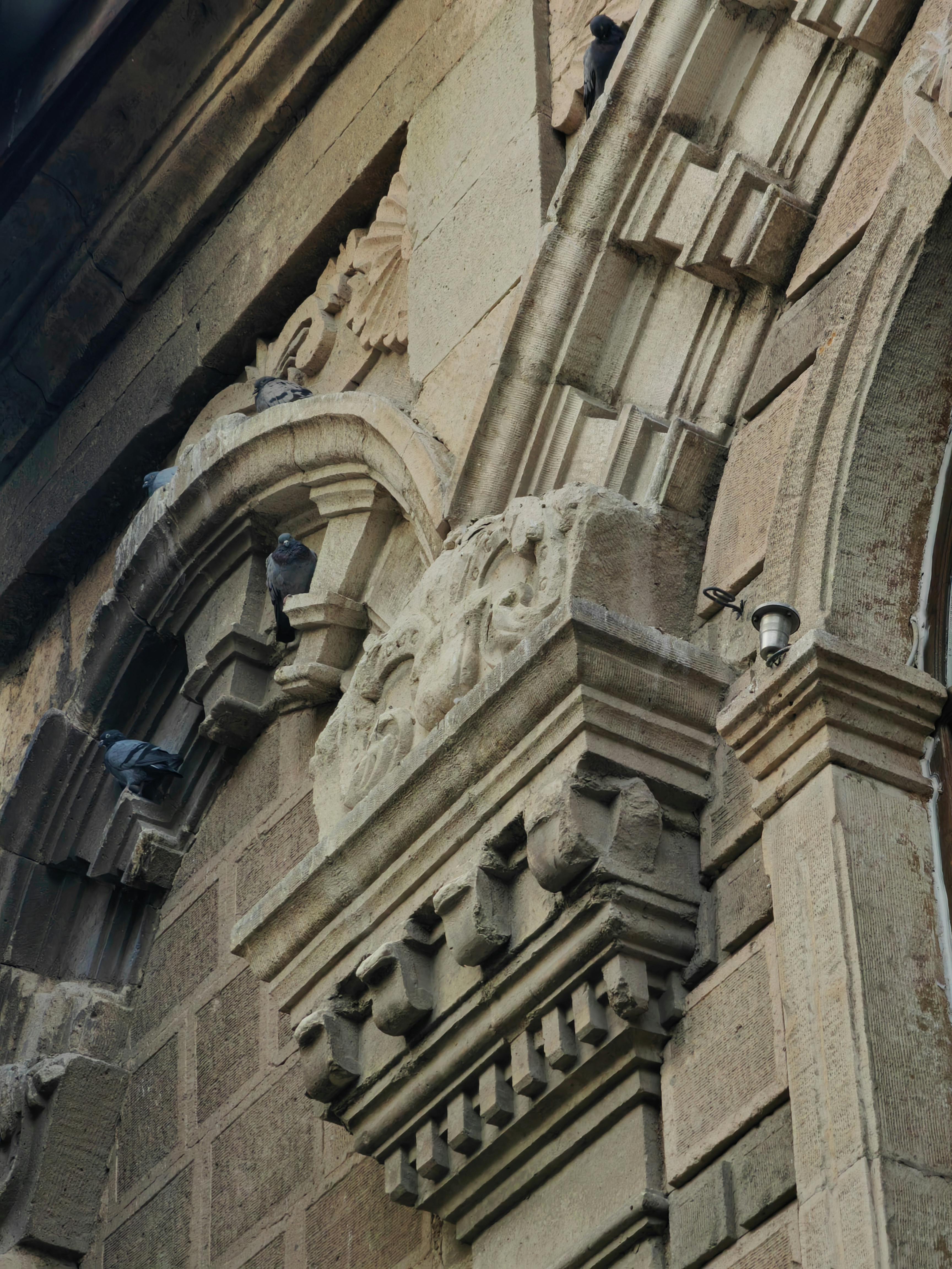 Capitalus Capitol Photos, Download The BEST Free Capitalus Capitol ...