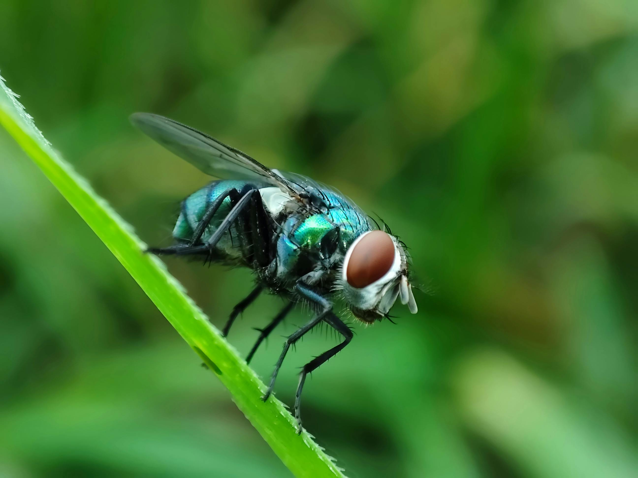 Rushikesh Shinde - Photography