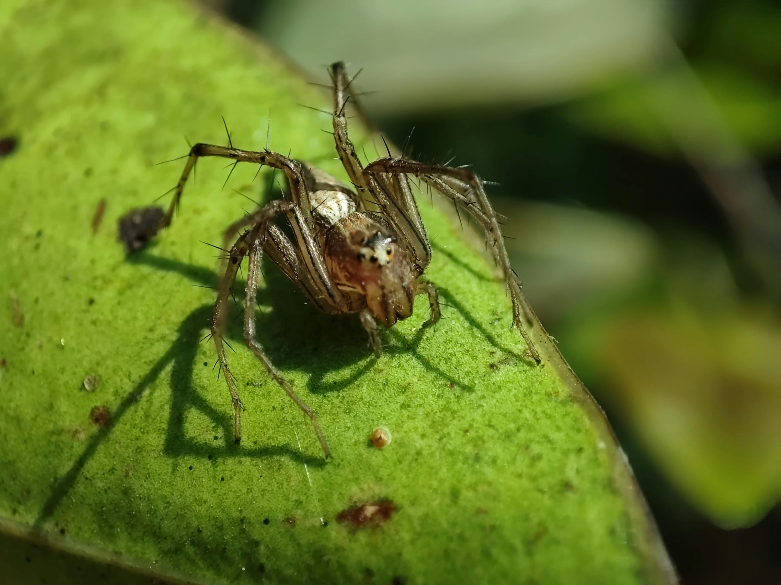 Rushikesh Shinde - Photography