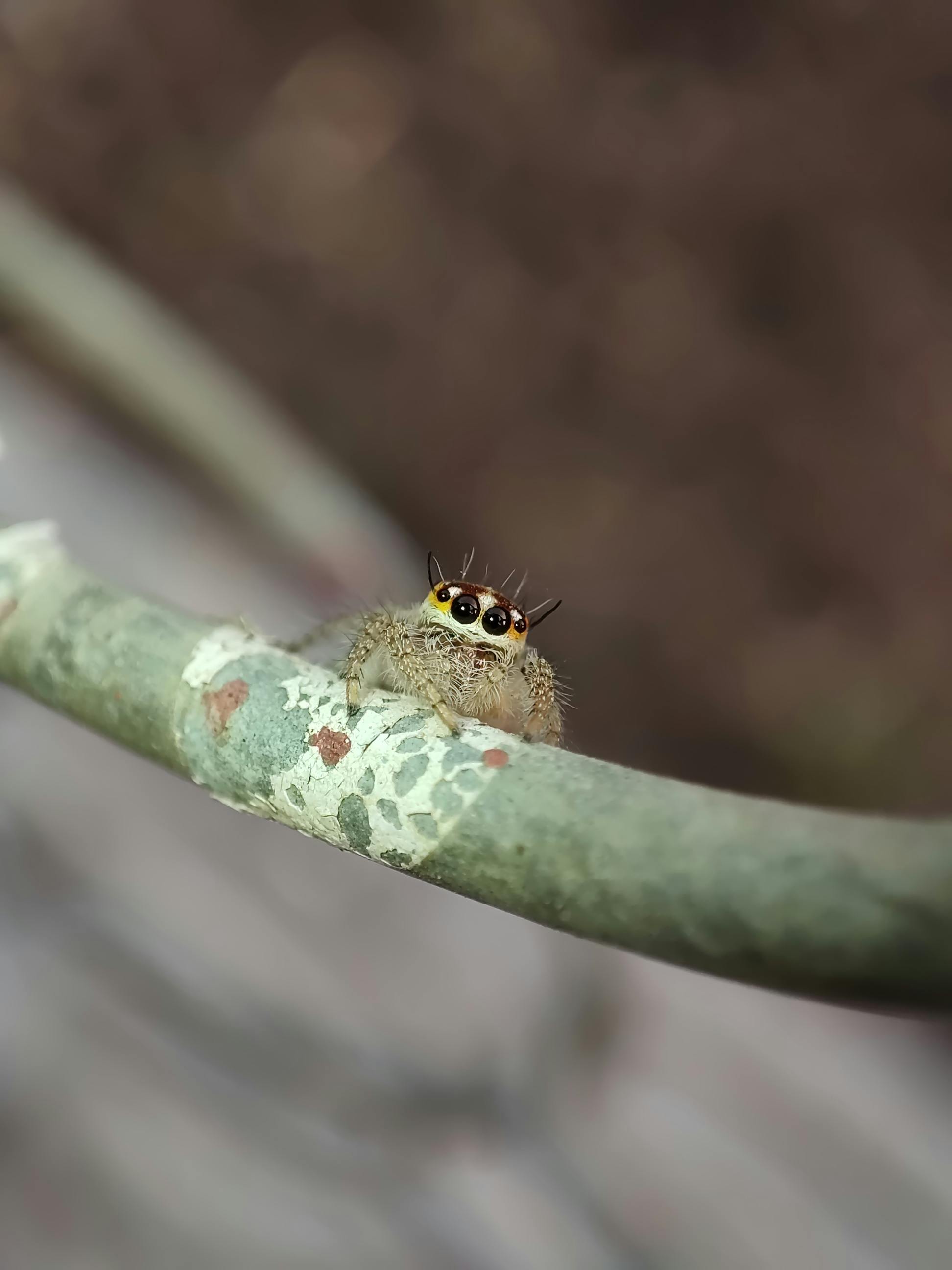 Rushikesh Shinde - Photography