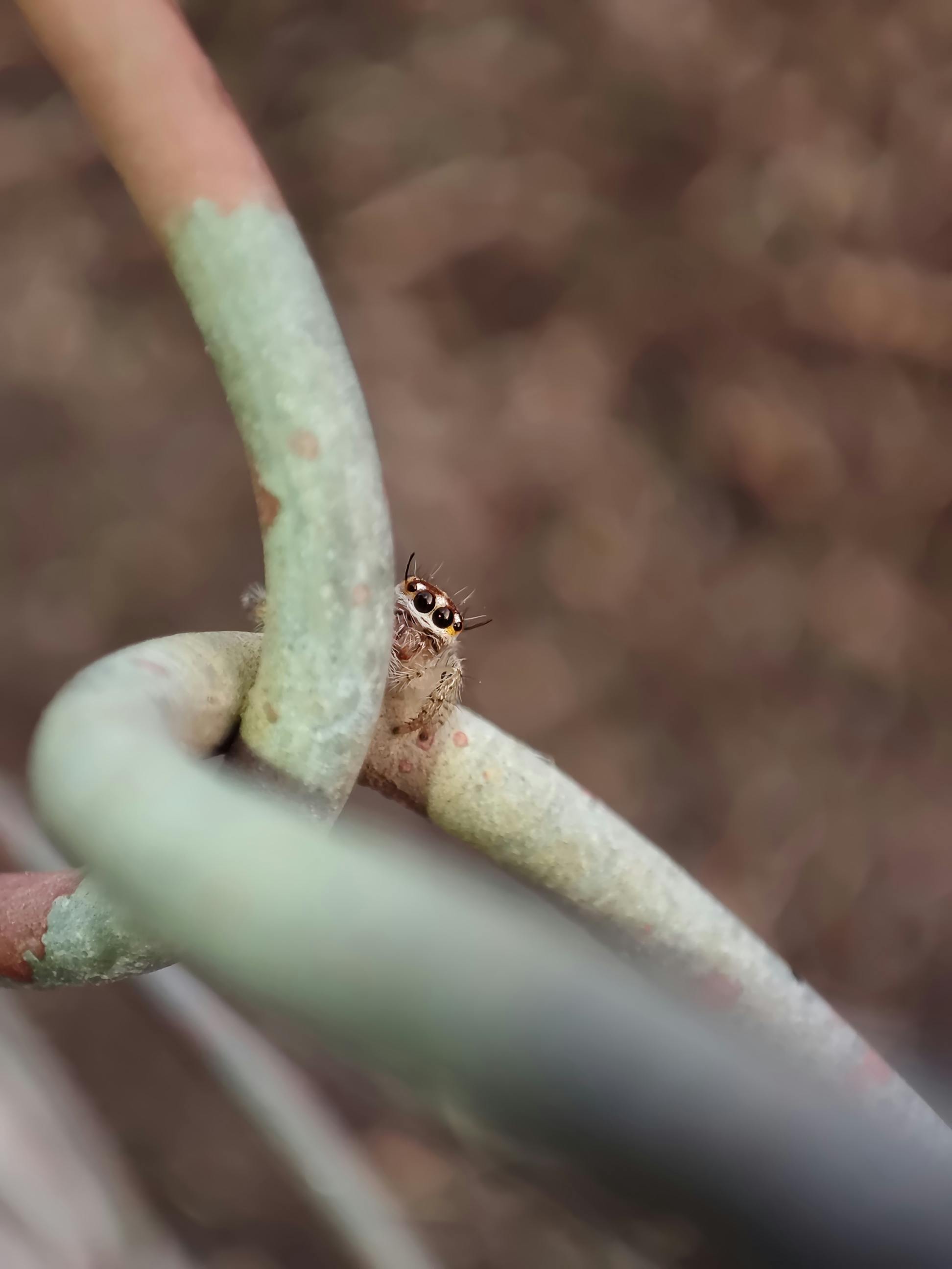 Rushikesh Shinde - Photography