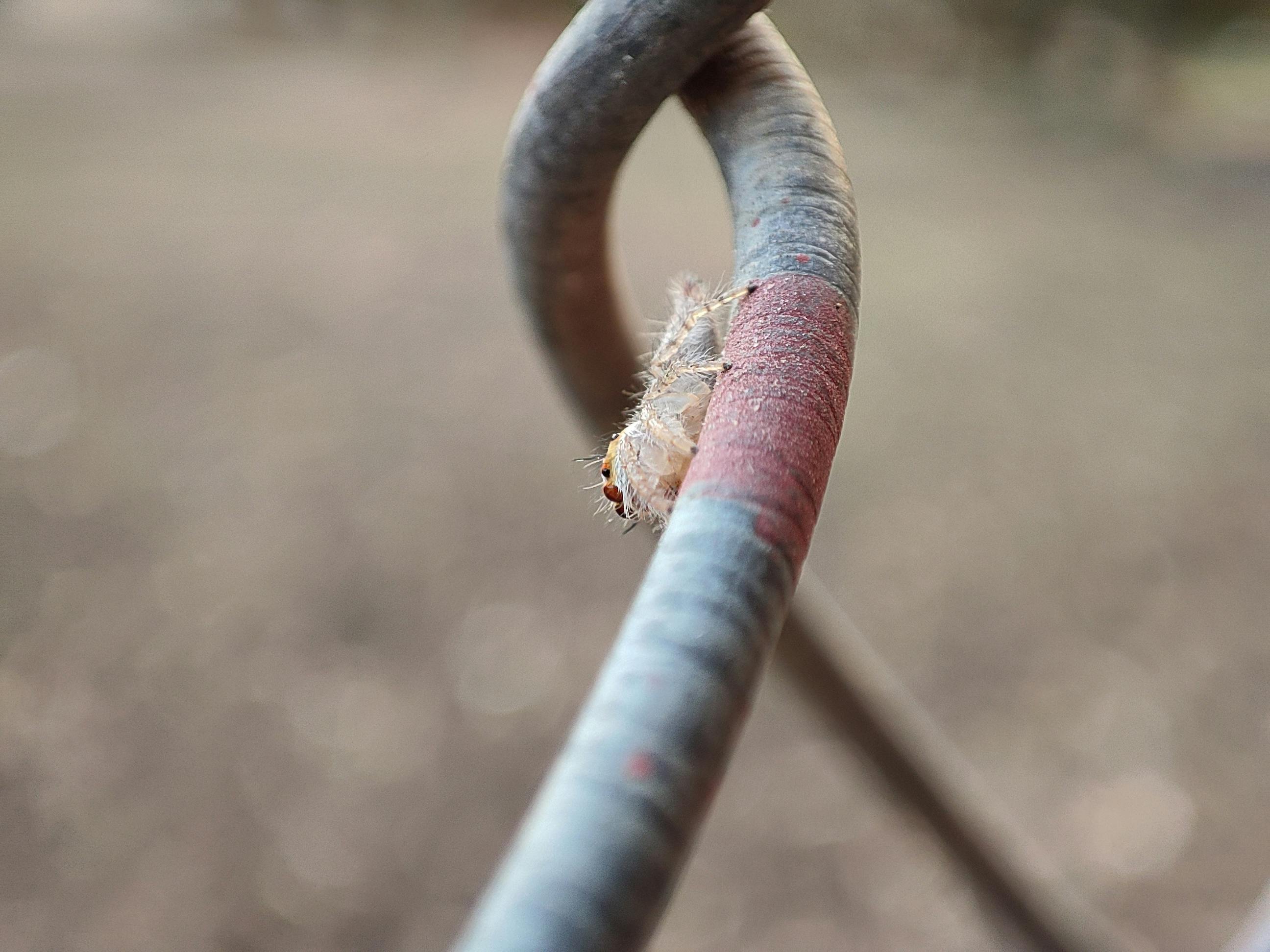 Rushikesh Shinde - Photography