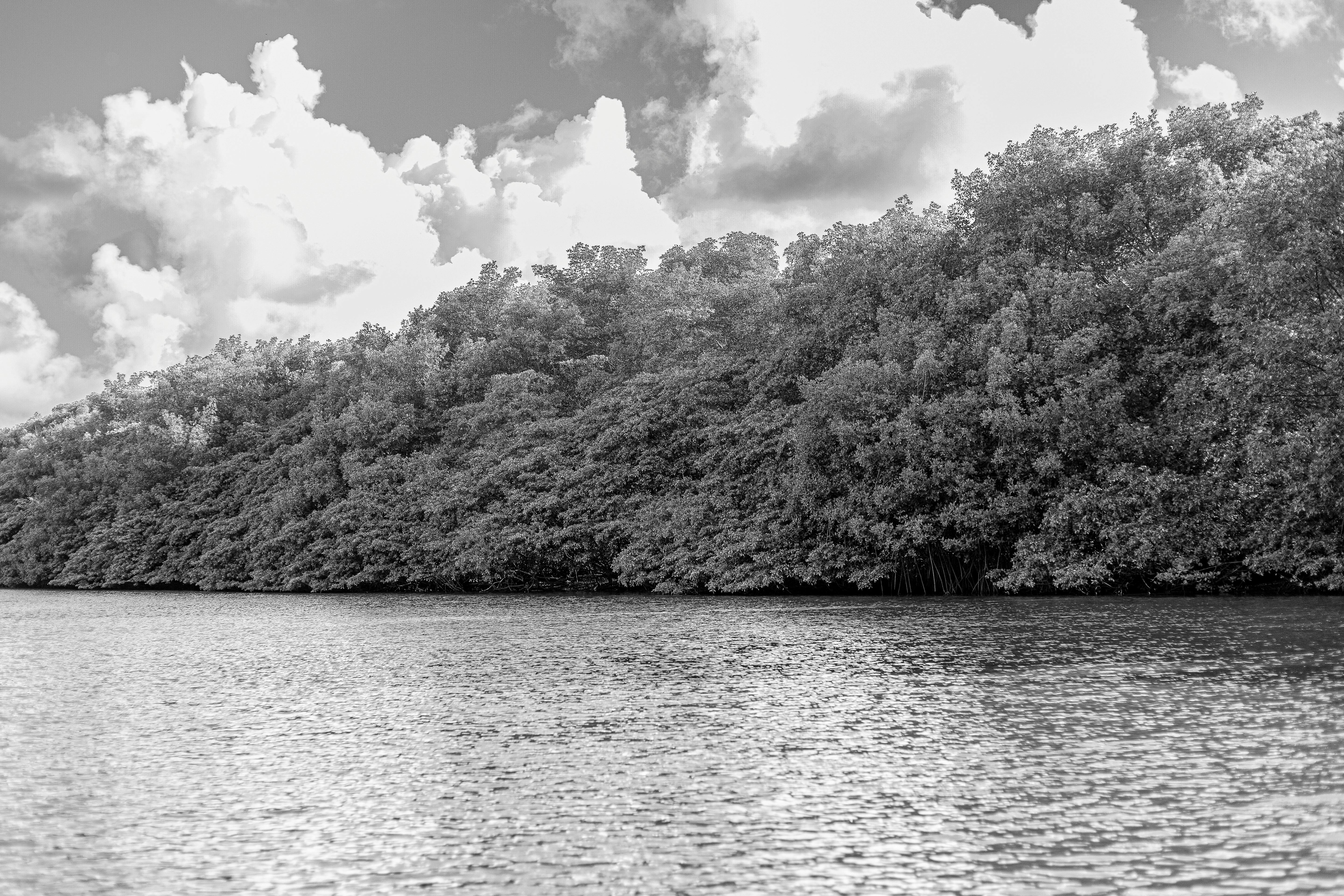 Lucas Meneses - Fotografía