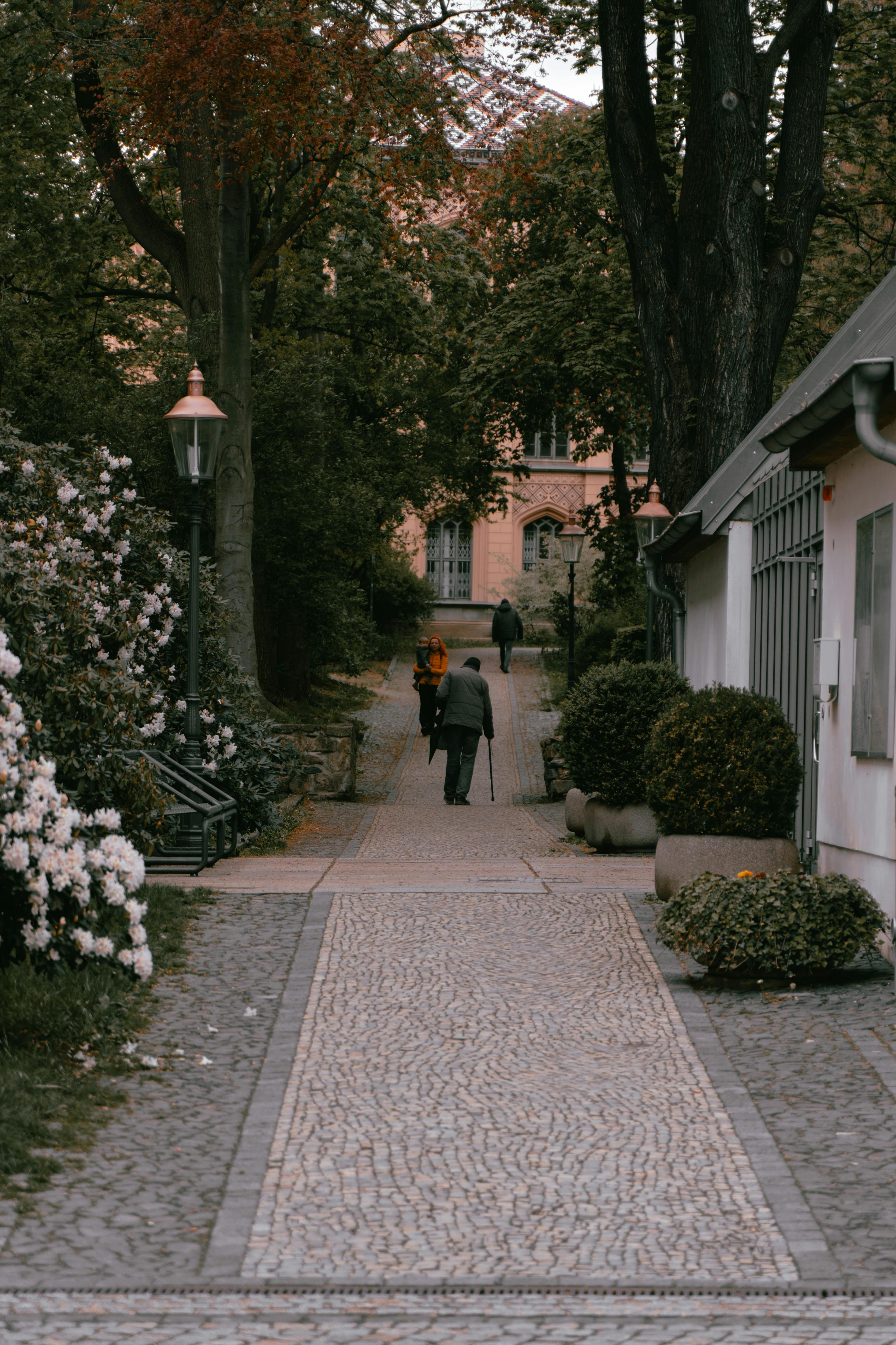 People on Alley in Park in Zittau, Germany · Free Stock Photo