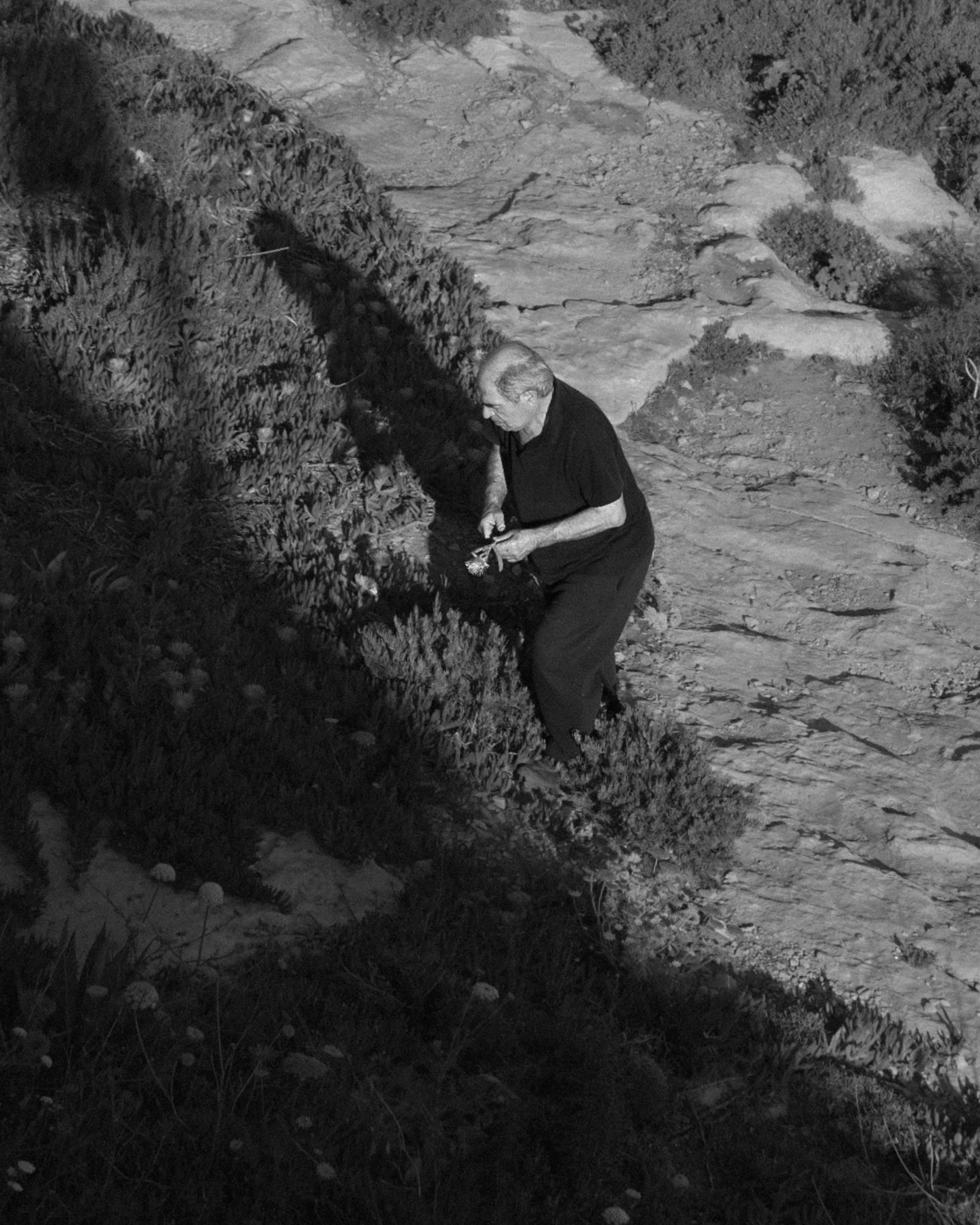 Man picking flowers · Free Stock Photo