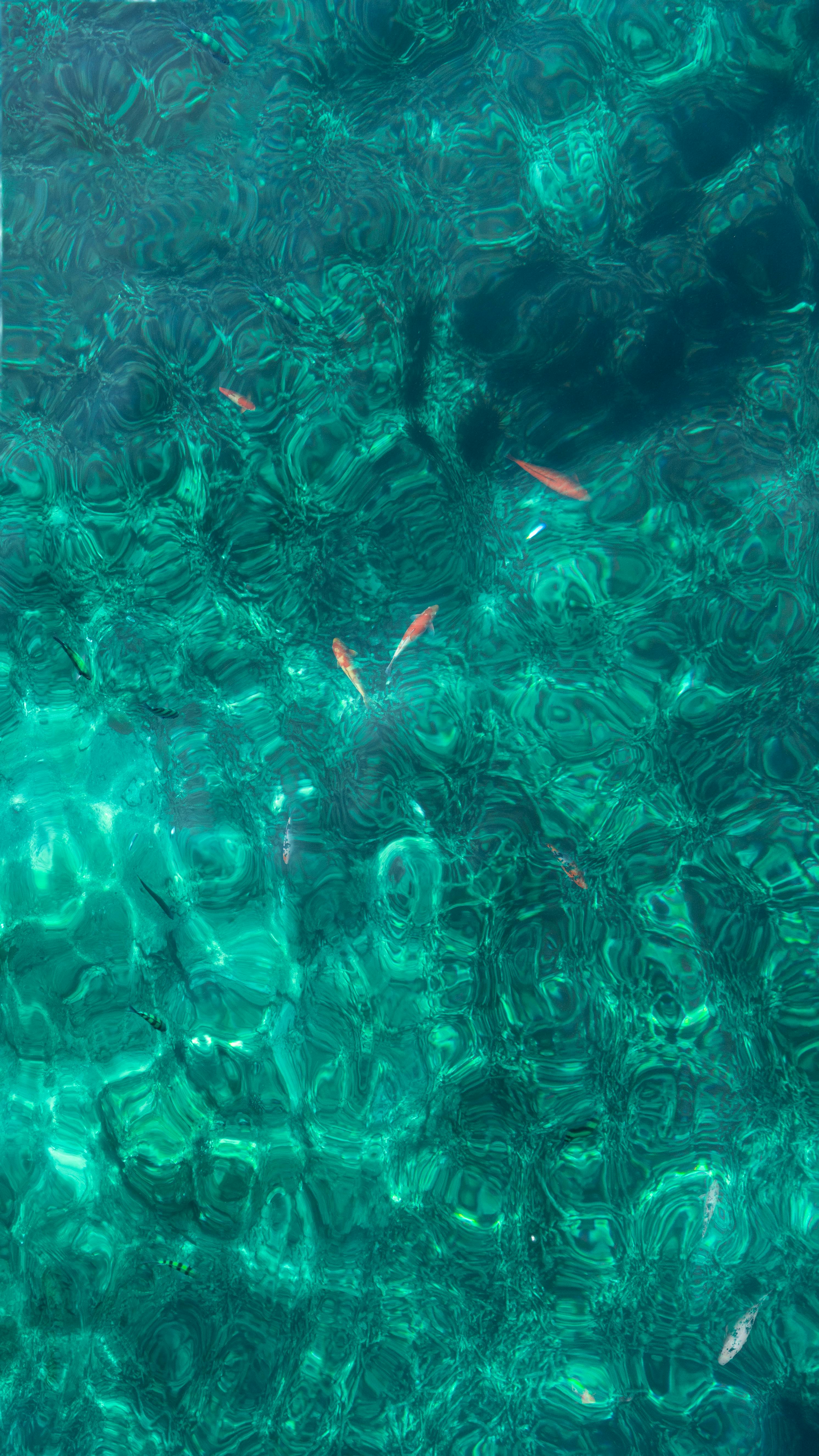 Aerial View of Sea Waves · Free Stock Photo