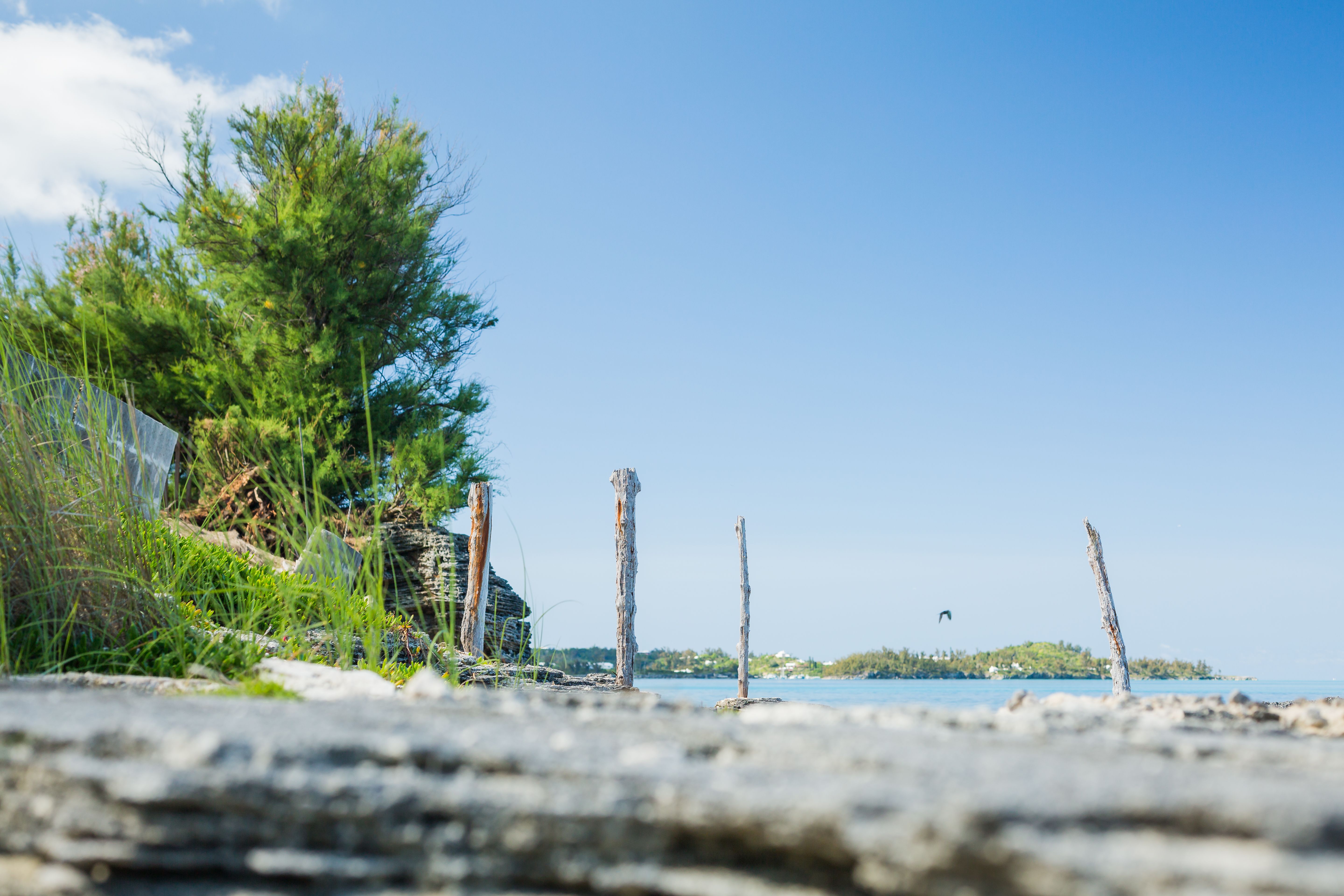 Surface Level View of a Lake · Free Stock Photo