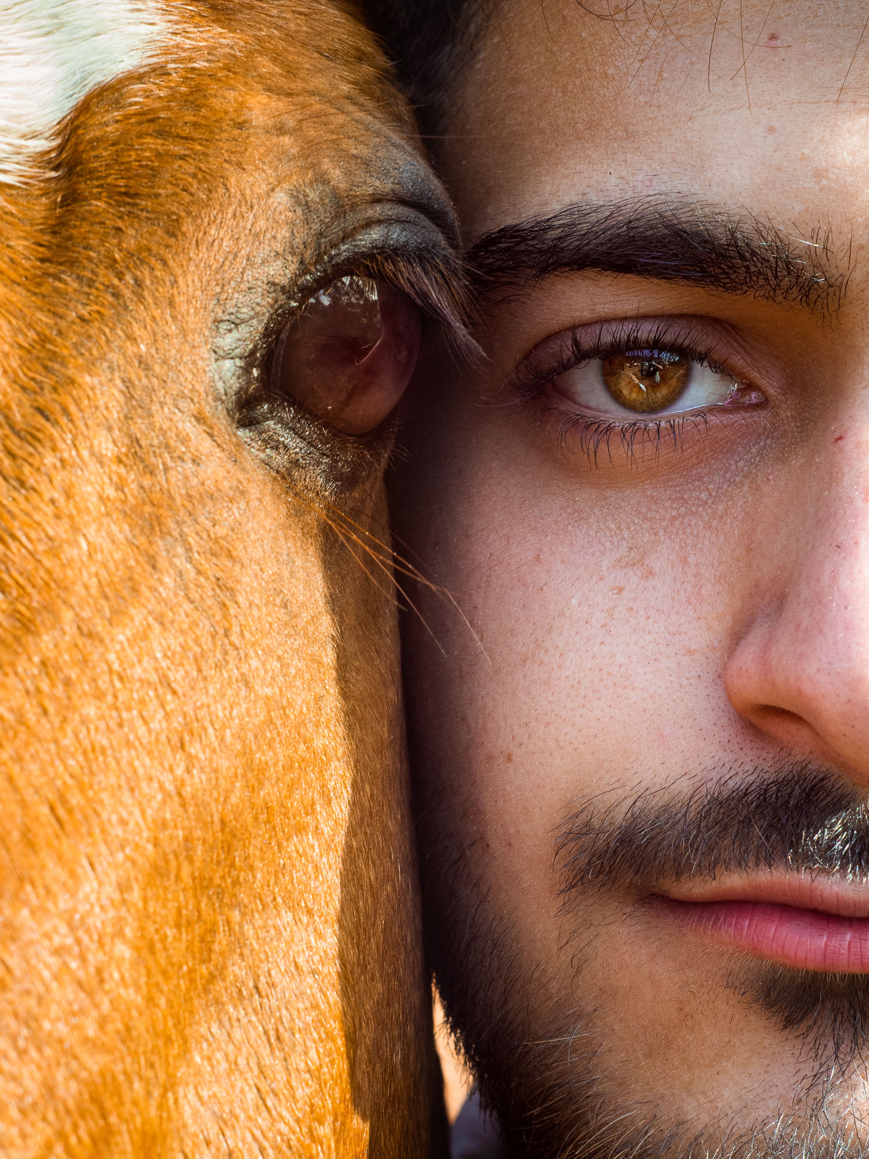 Male Face Close Up Photos, Download The BEST Free Male Face Close Up ...