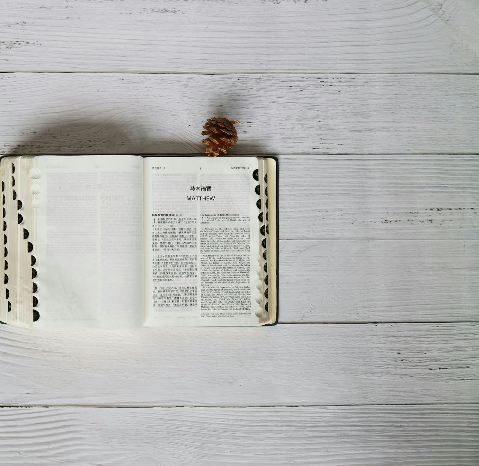 The Bible Photos, Download The BEST Free The Bible Stock Photos & HD Images