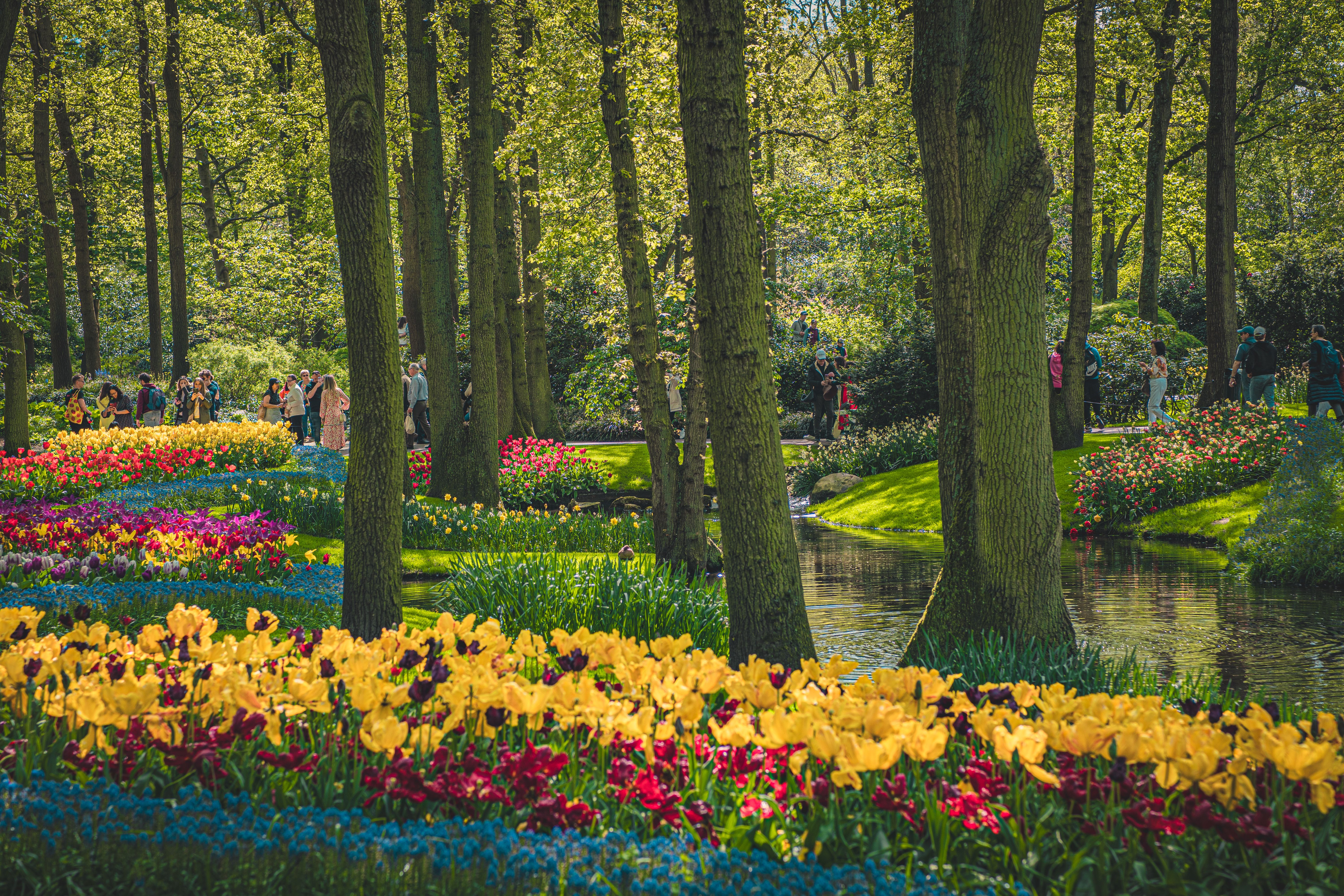 A river with many colorful flowers and trees · Free Stock Photo