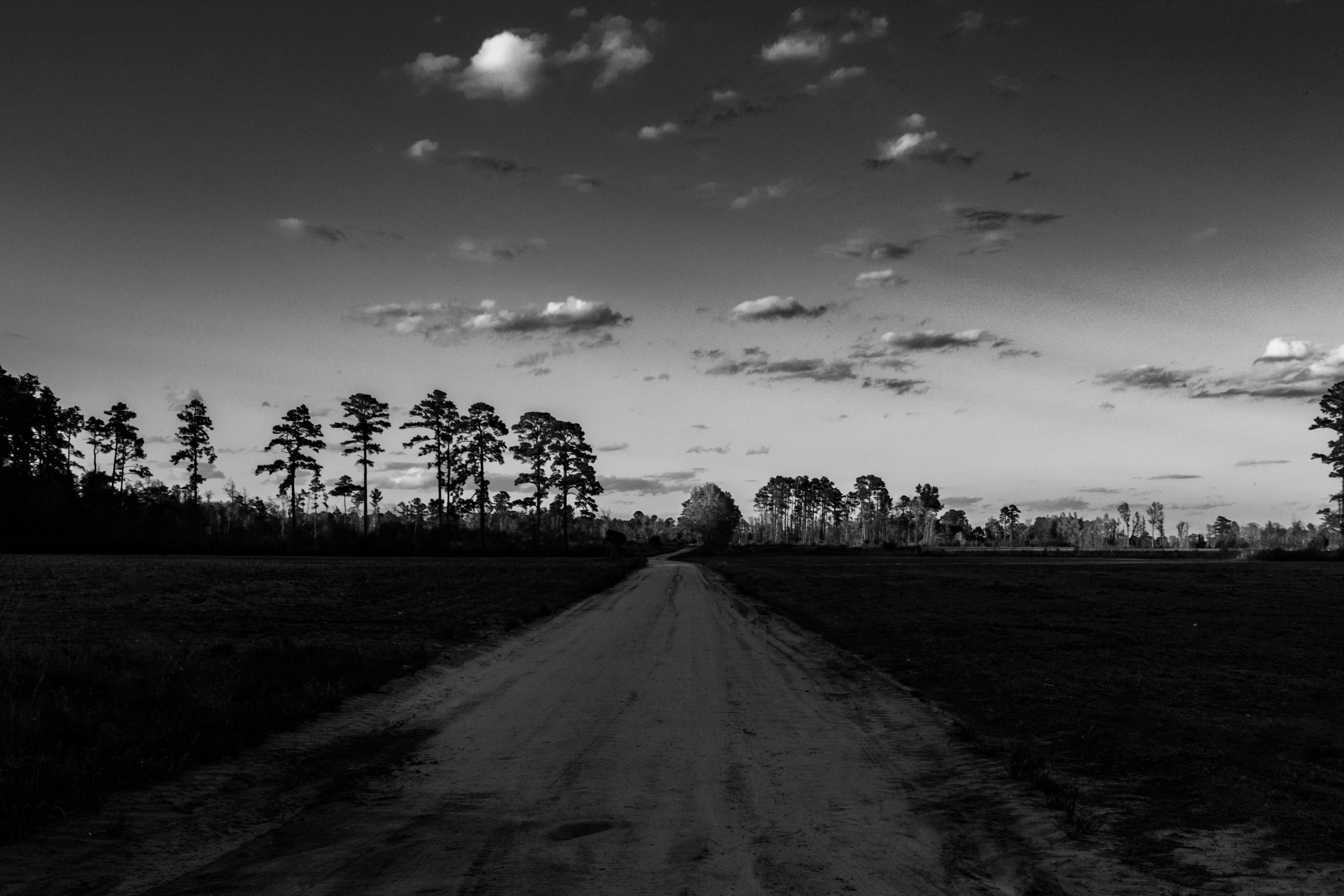 Unusal Perspectives Photos, Download The BEST Free Unusal Perspectives ...